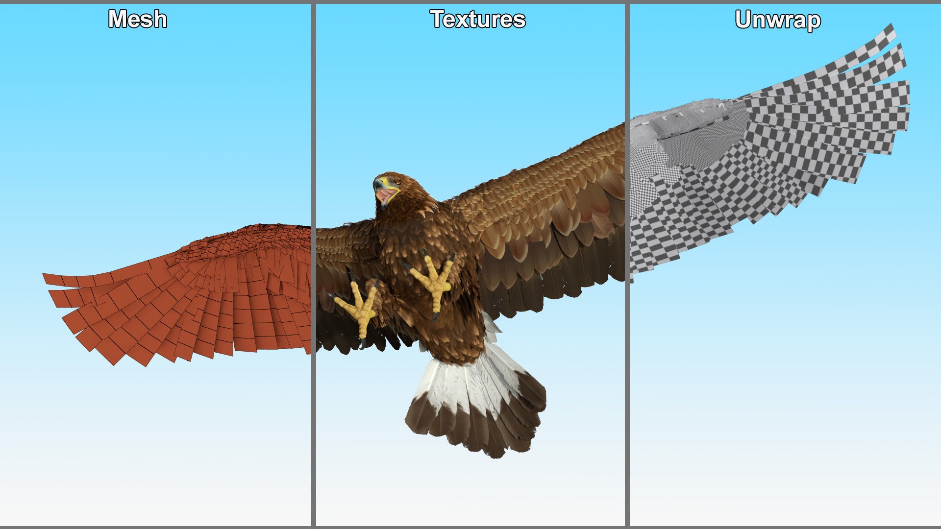 Golden Eagle Attacking Mouse Collection 3D Model - TurboSquid 2298814