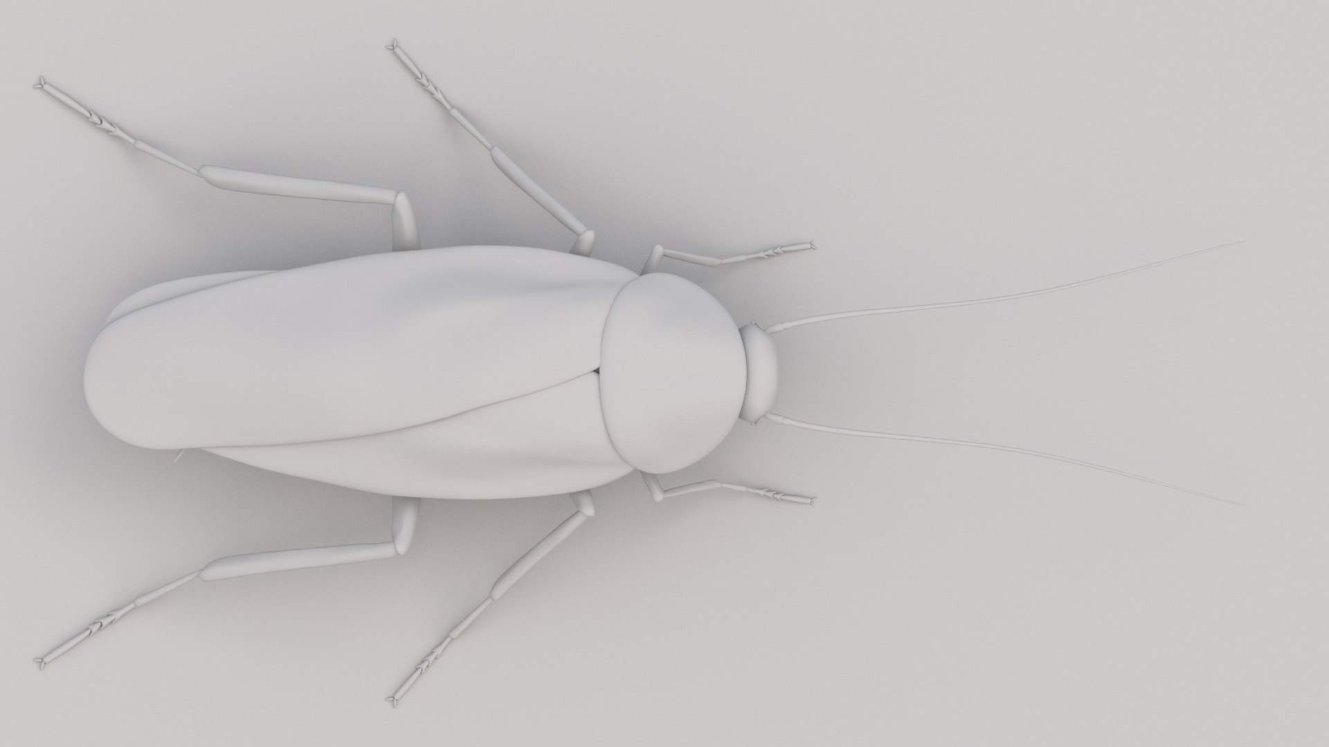 Cockroach 3D - TurboSquid 1865270