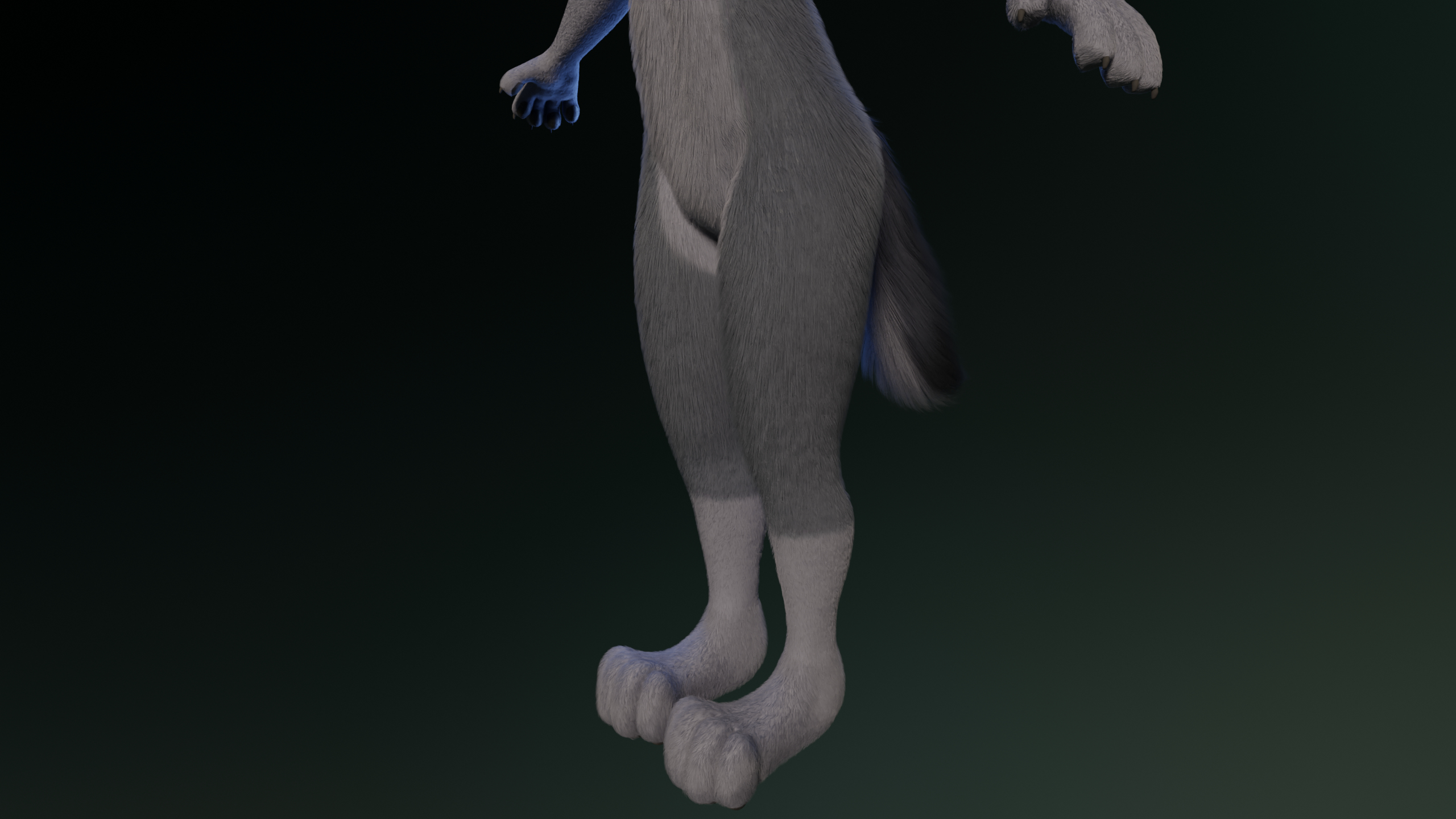 3D Jennifer Anthro Wolf model - TurboSquid 1873928