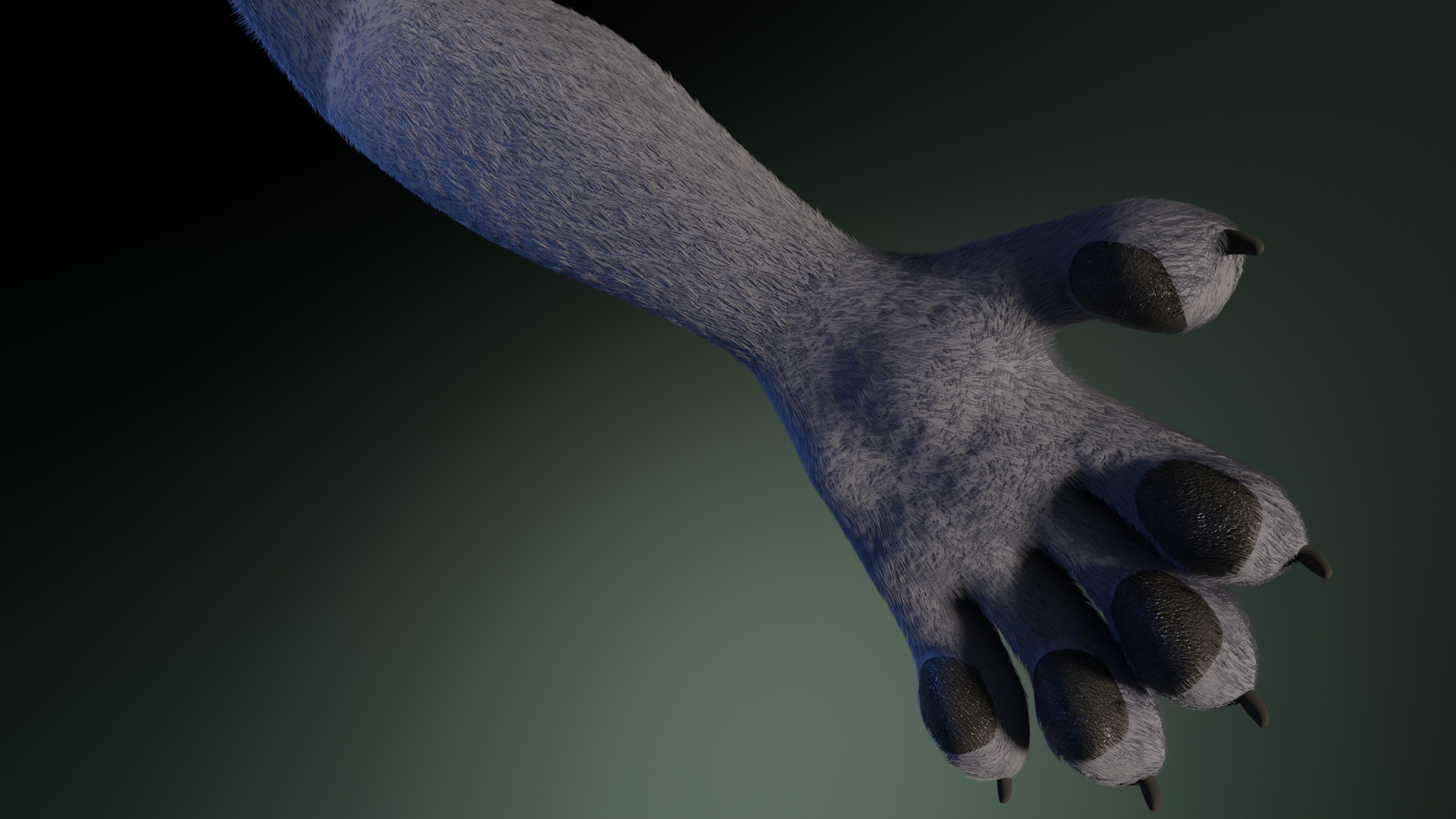 3D Jennifer Anthro Wolf model - TurboSquid 1873928