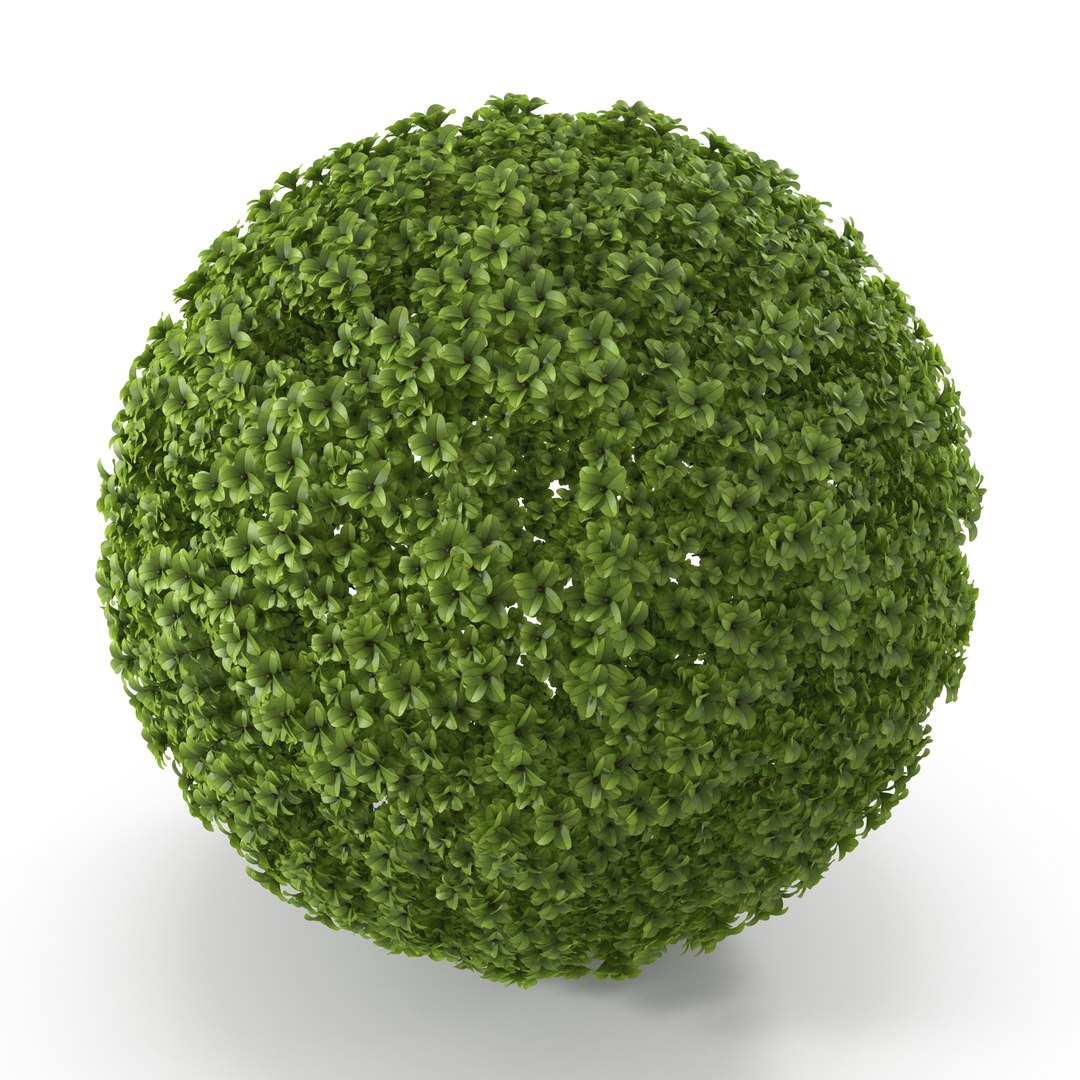 Dotted Moss 3D Model - TurboSquid 1837347