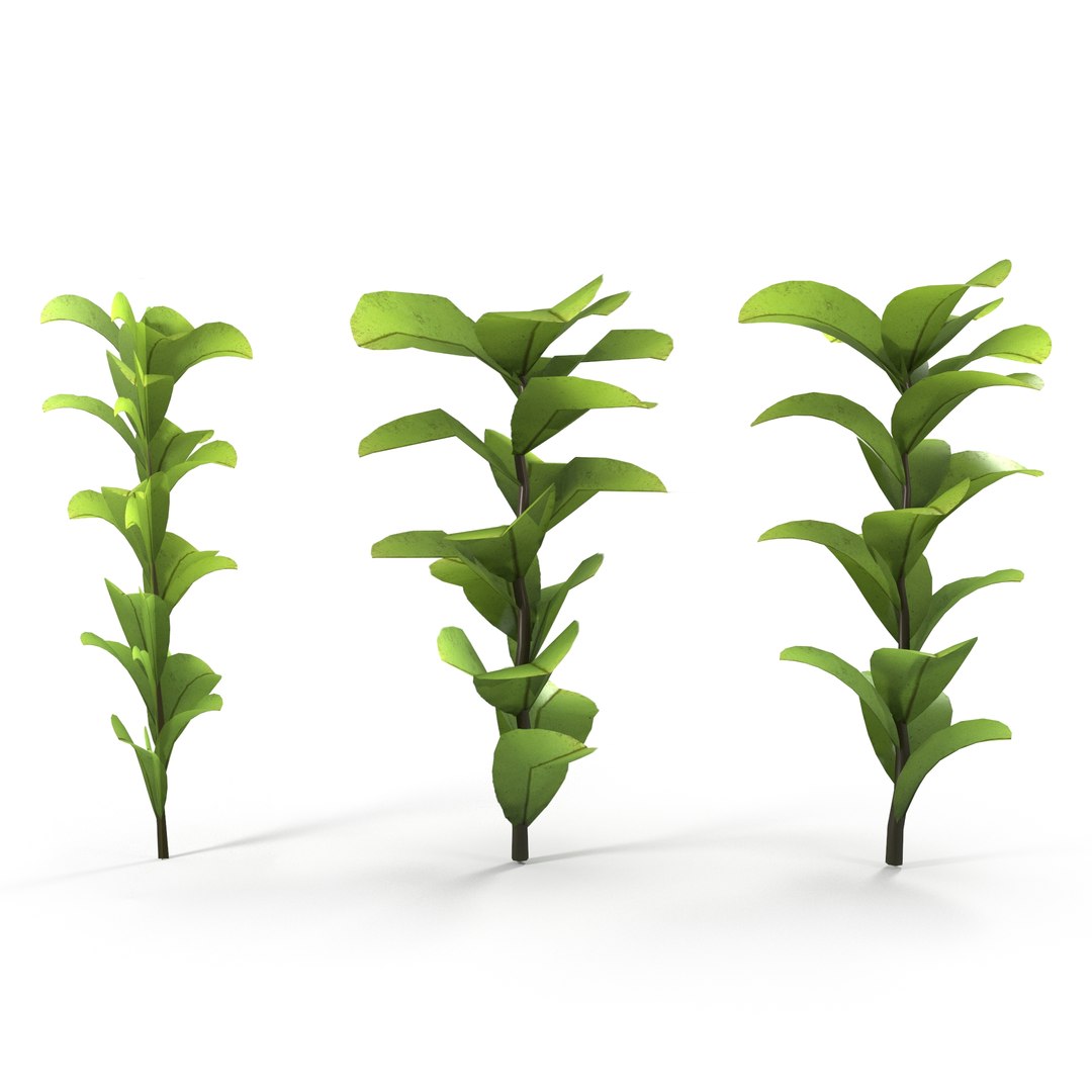 Dotted Moss 3D Model - TurboSquid 1837347