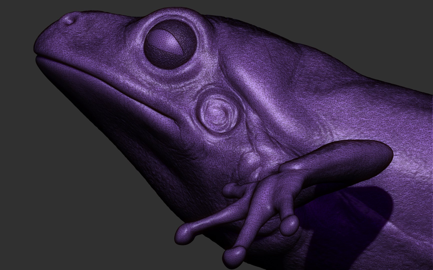 Frog Printing Model - TurboSquid 1650633