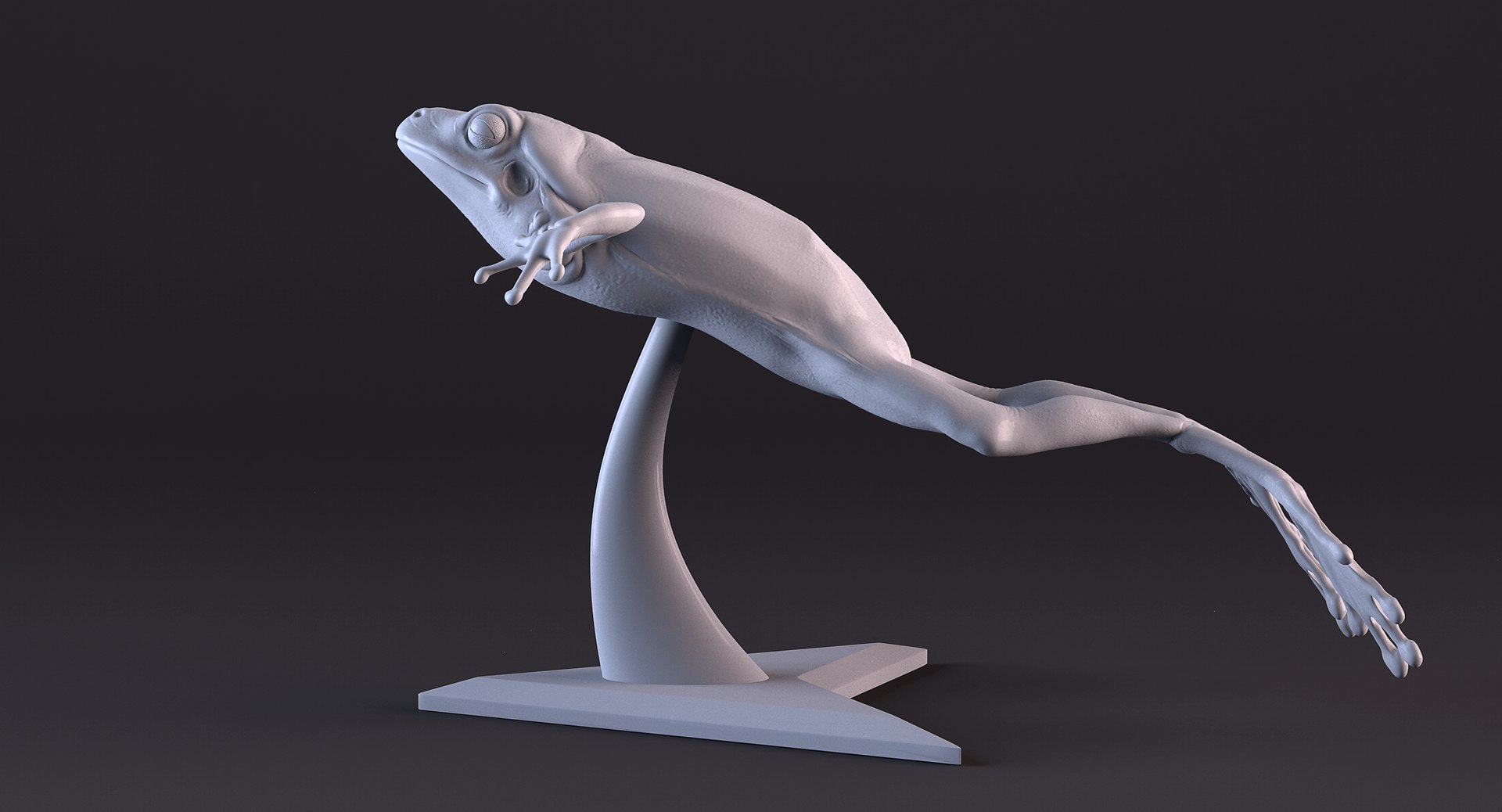 Frog Printing Model - TurboSquid 1650633