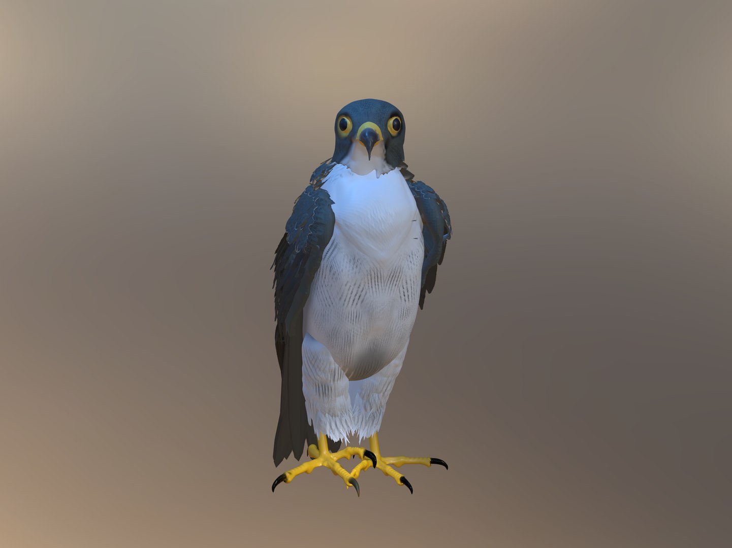 Falcon 3D Model - TurboSquid 1949161
