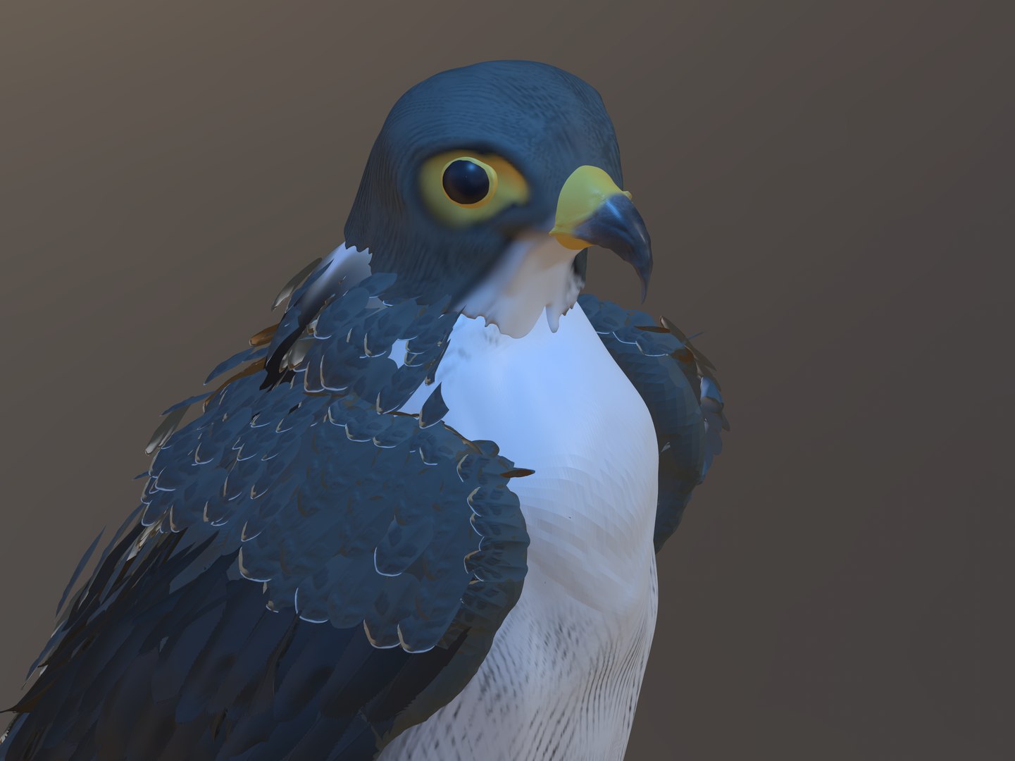 Falcon 3D Model - TurboSquid 1949161