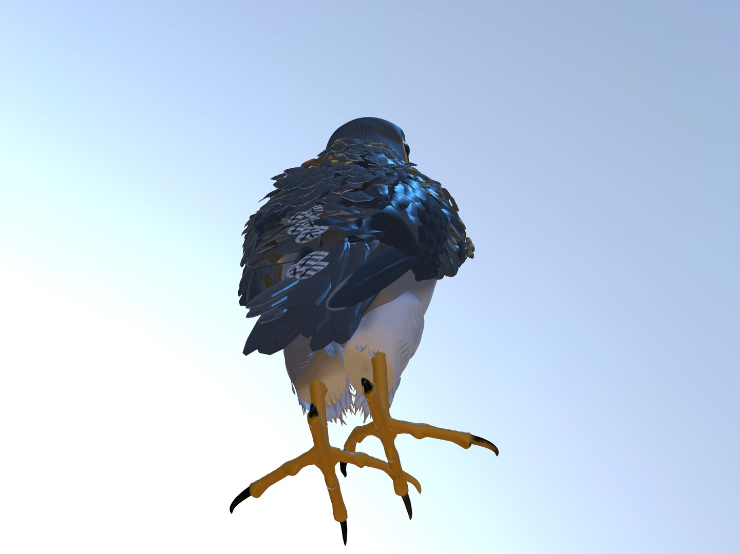 Falcon 3D Model - TurboSquid 1949161