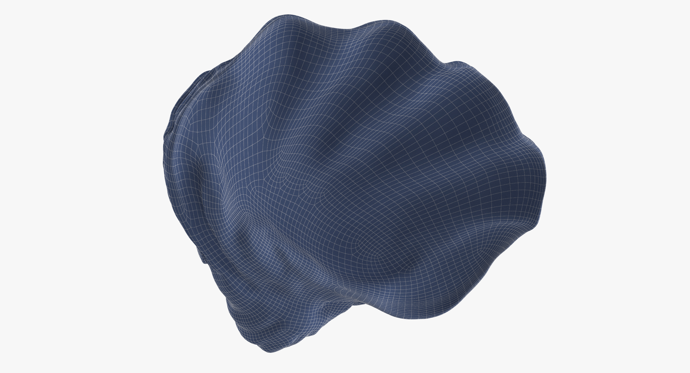 3d model of oyster shell 02