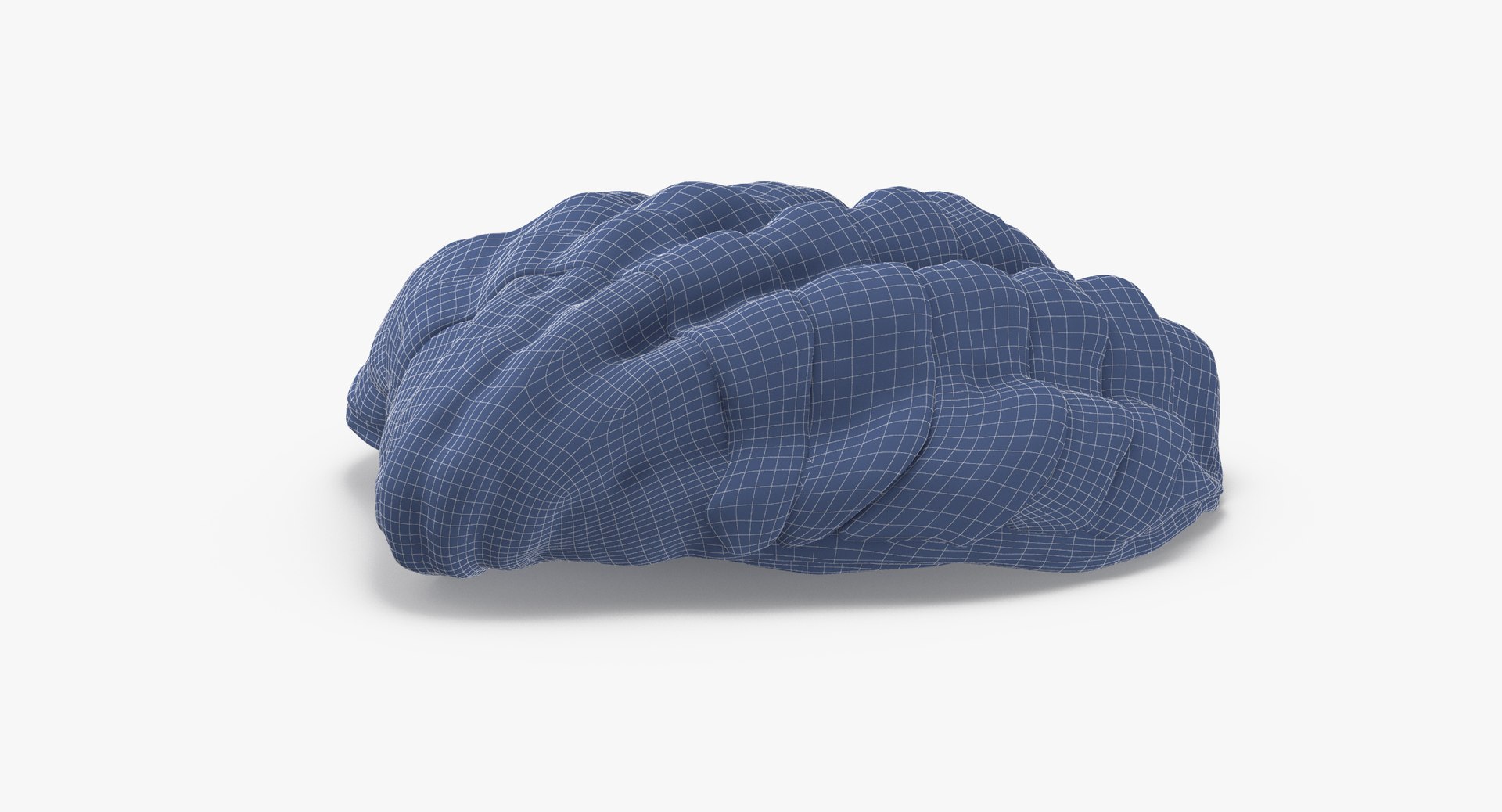 3d model of oyster shell 02