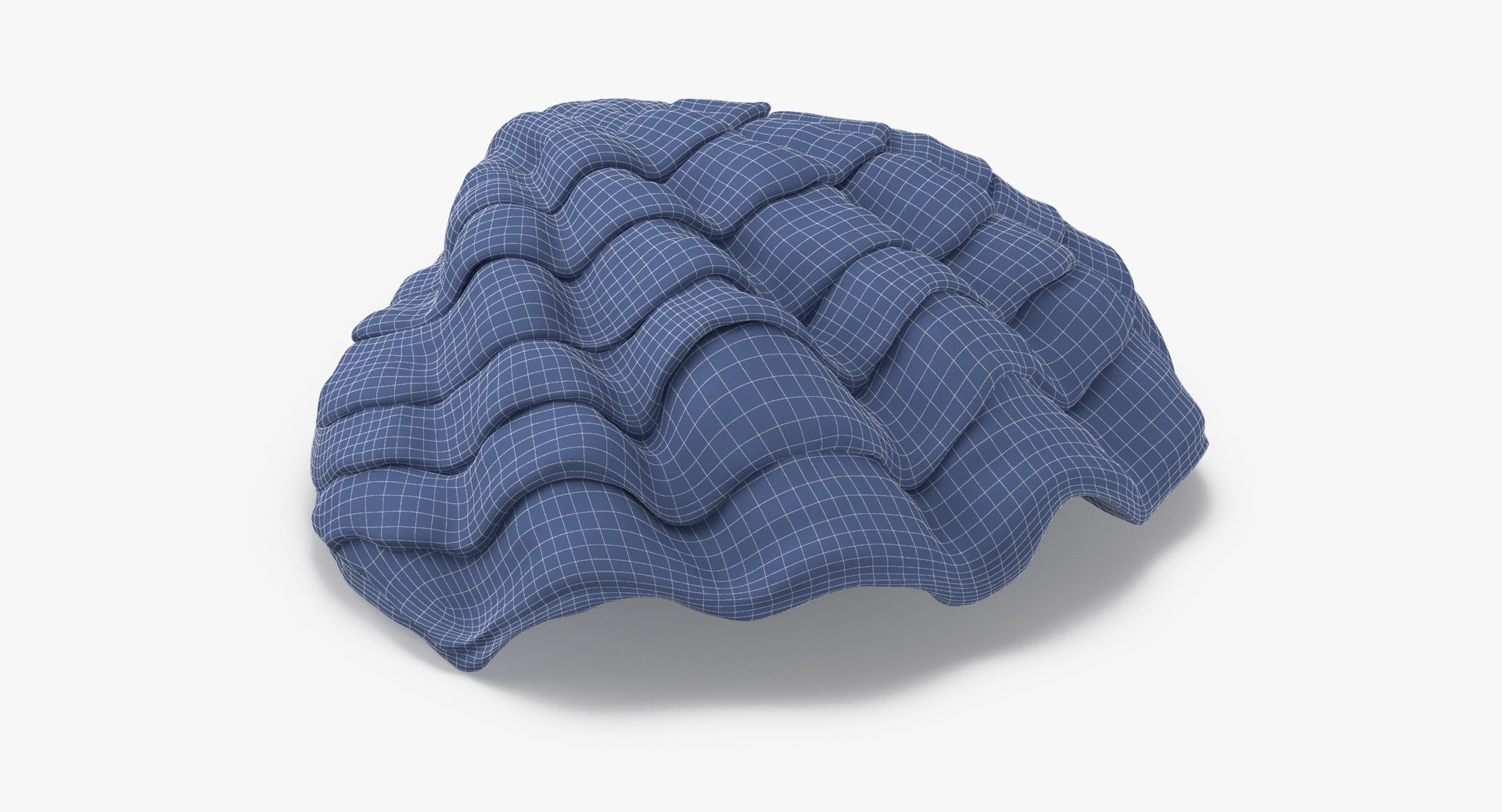 3d model of oyster shell 02