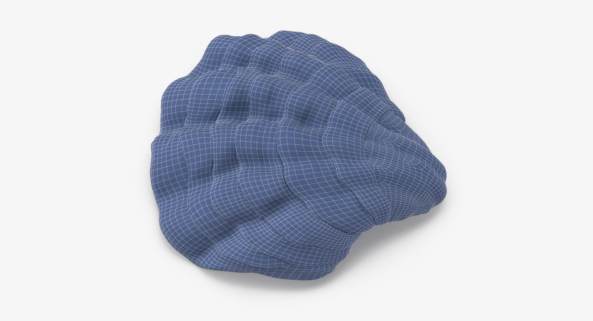 3d model of oyster shell 02