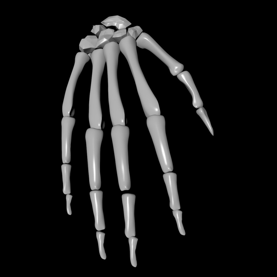 Hand Bone 3D Model - TurboSquid 1414129