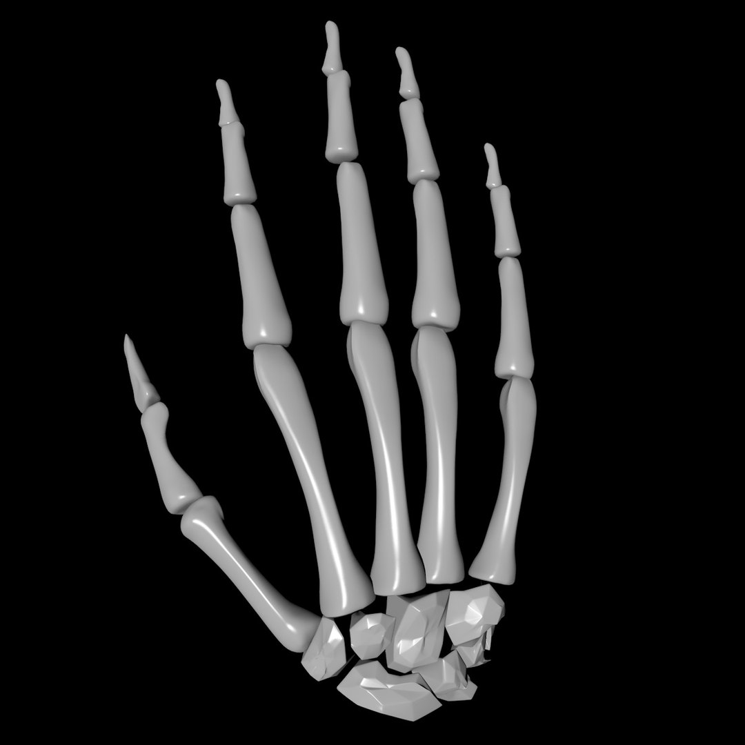 Hand Bone 3D Model - TurboSquid 1414129