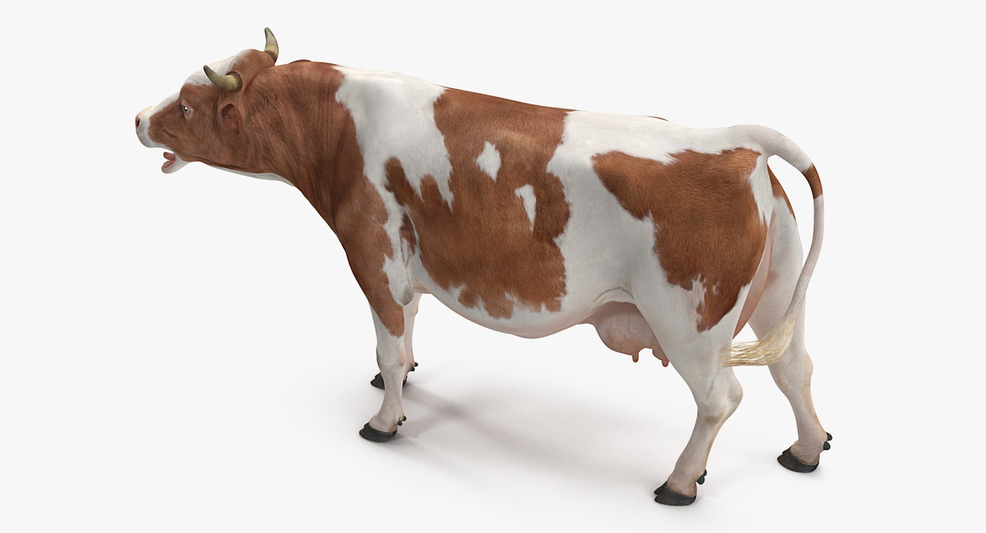 Cow rigged model - TurboSquid 1250232