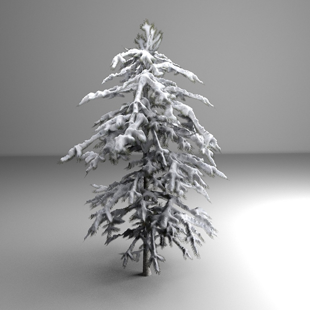 Pine Tree Covered Snow Max