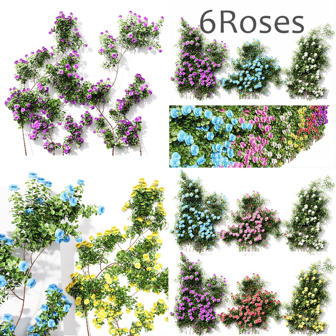 3D 2 Different 3D models in the 2scenes Climbing Roses Wall Grow model ...