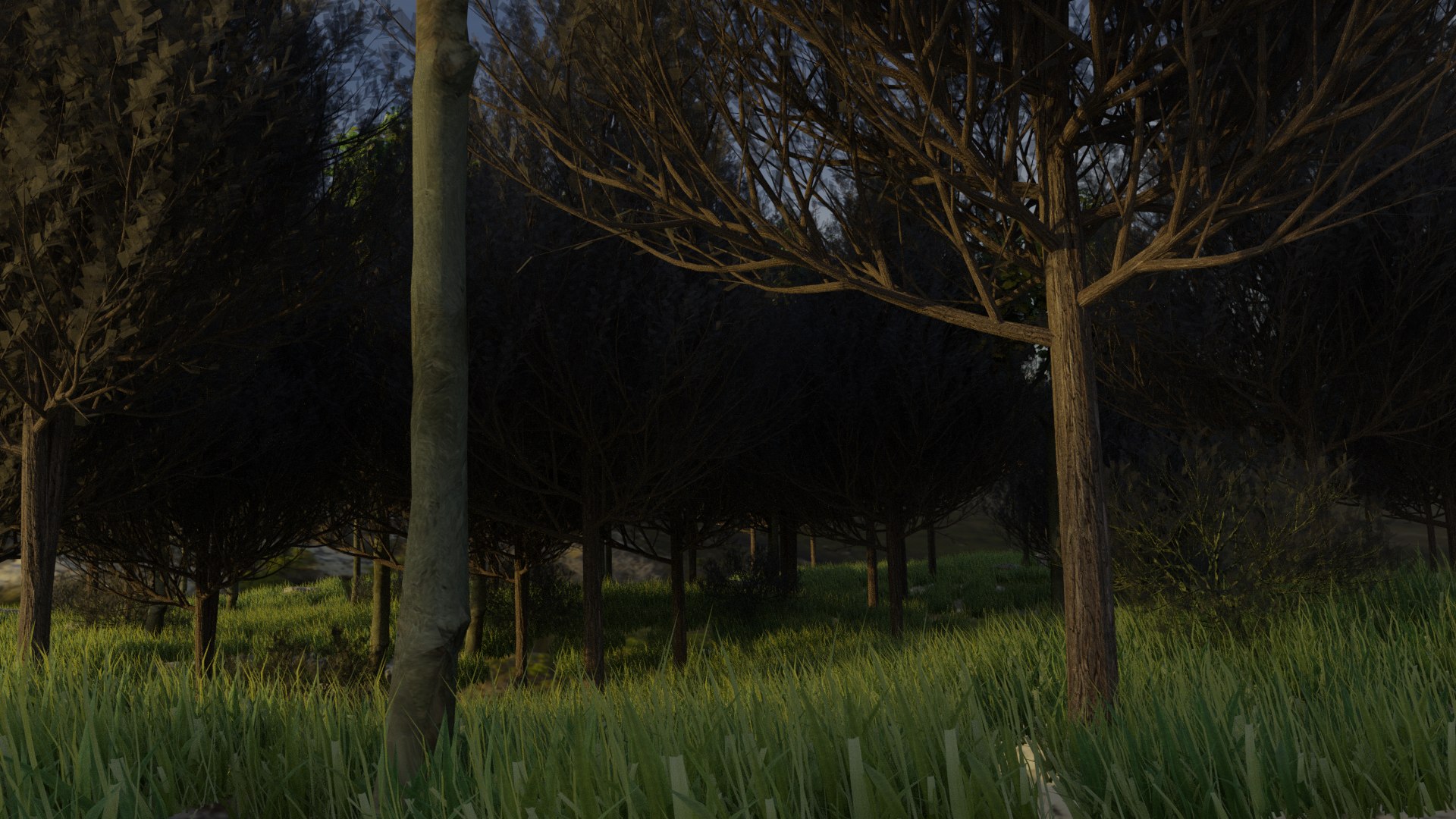 Forest Blender 3D - TurboSquid 1694901