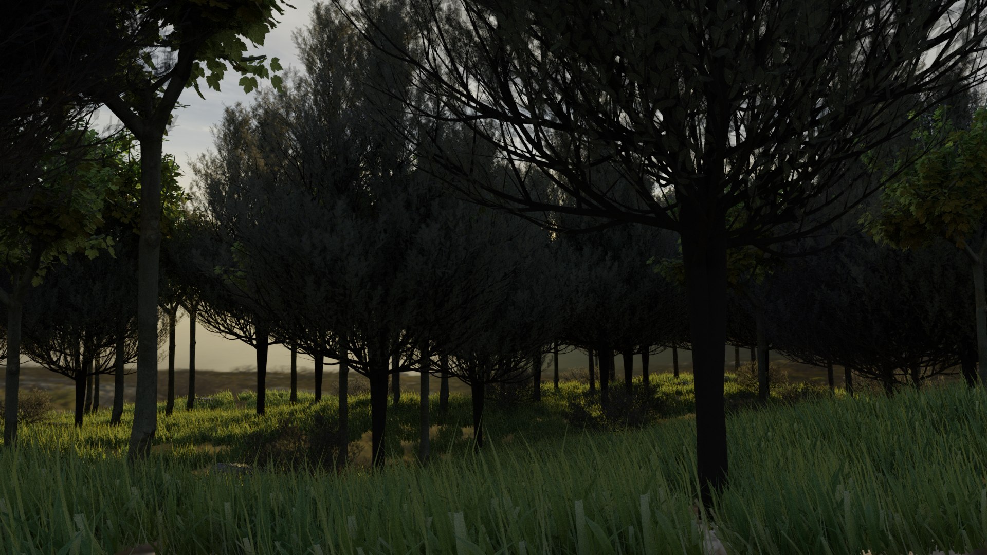 Forest Blender 3D - TurboSquid 1694901