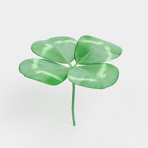 3D Four Leaf Clover Models - Browse & Download Formats - TurboSquid