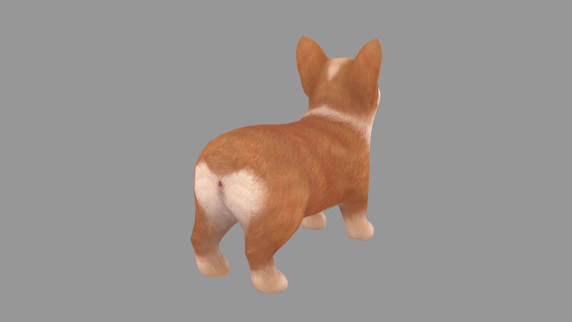 3D Cartoon Pet Puppy - Corgi - Baby Dog - TurboSquid 1721775