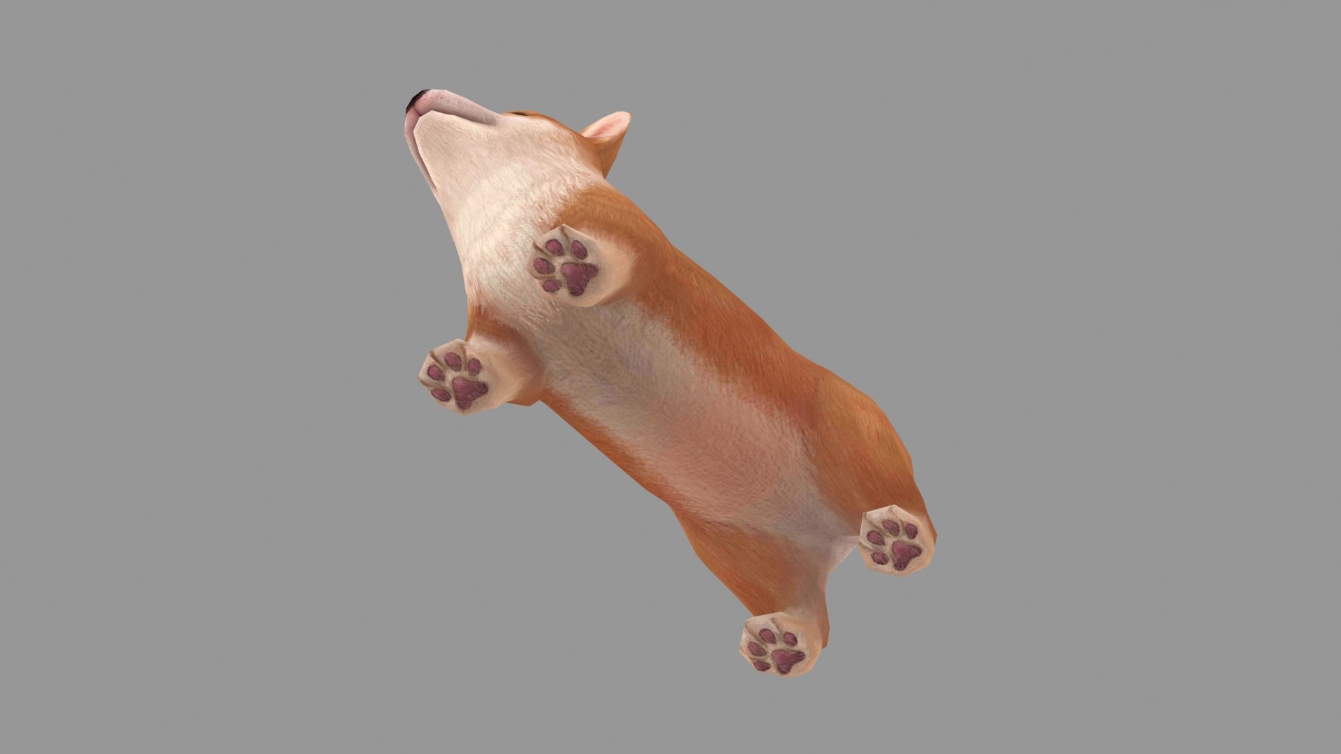 3D Cartoon Pet Puppy - Corgi - Baby Dog - TurboSquid 1721775