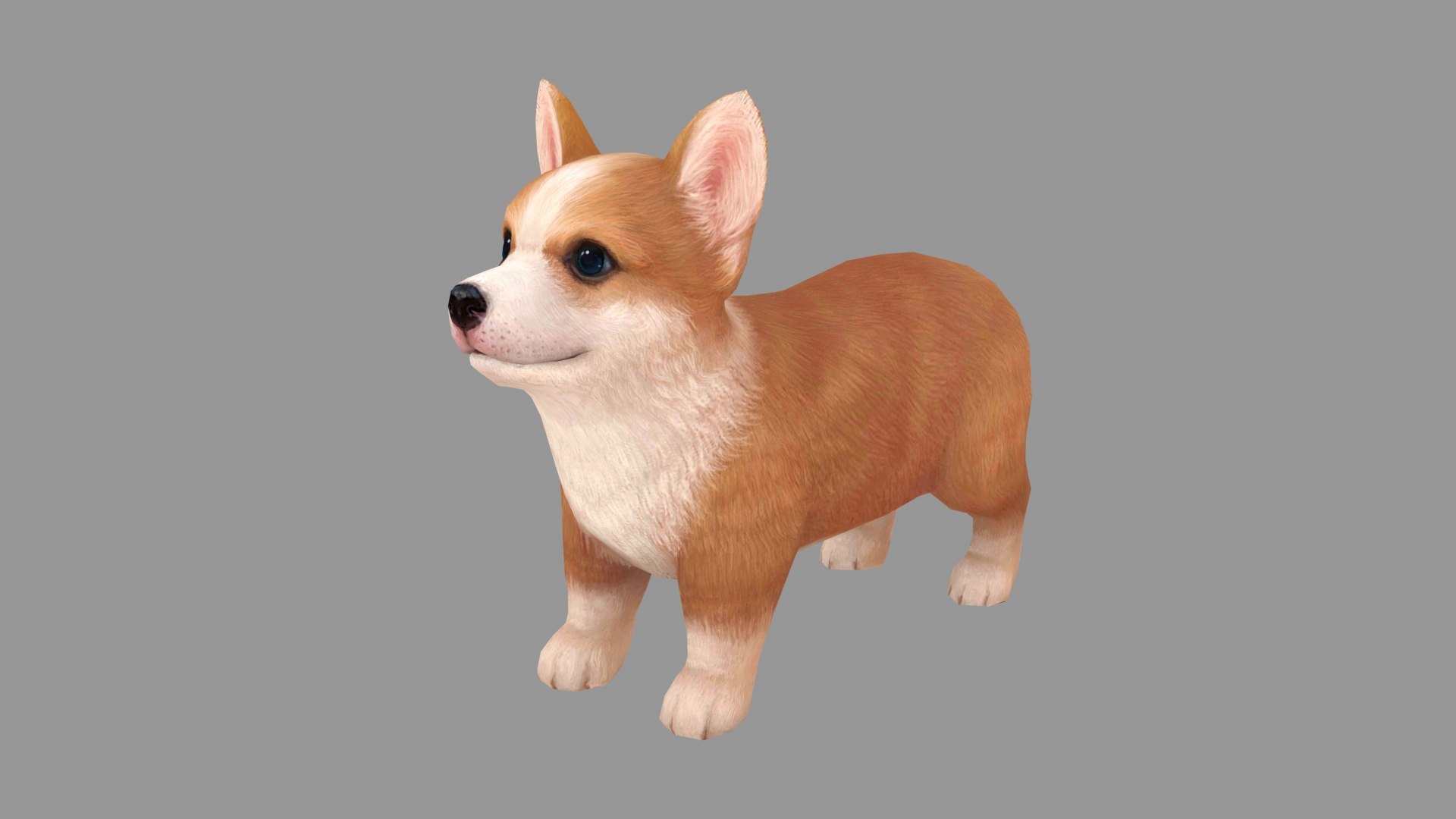 3D Cartoon Pet Puppy - Corgi - Baby Dog - TurboSquid 1721775