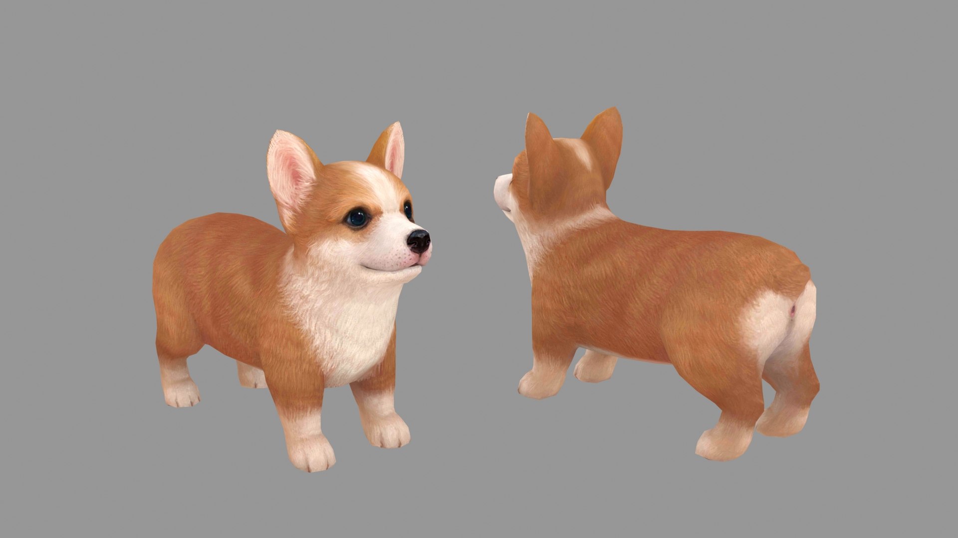 3D Cartoon Pet Puppy - Corgi - Baby Dog - TurboSquid 1721775
