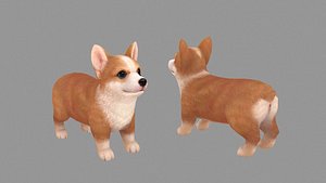Corgi 3D Models for Download | TurboSquid