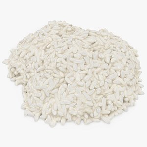 3D Rice Models - Browse & Download Formats - TurboSquid