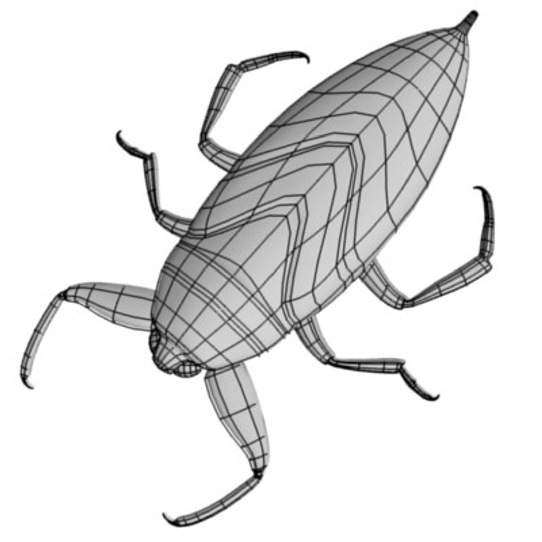 bugs insect 3d model