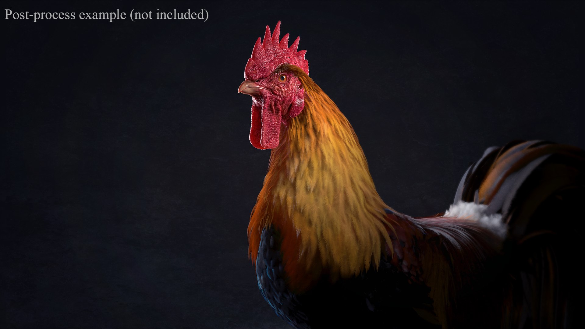 3D Rooster Animated - TurboSquid 1782857