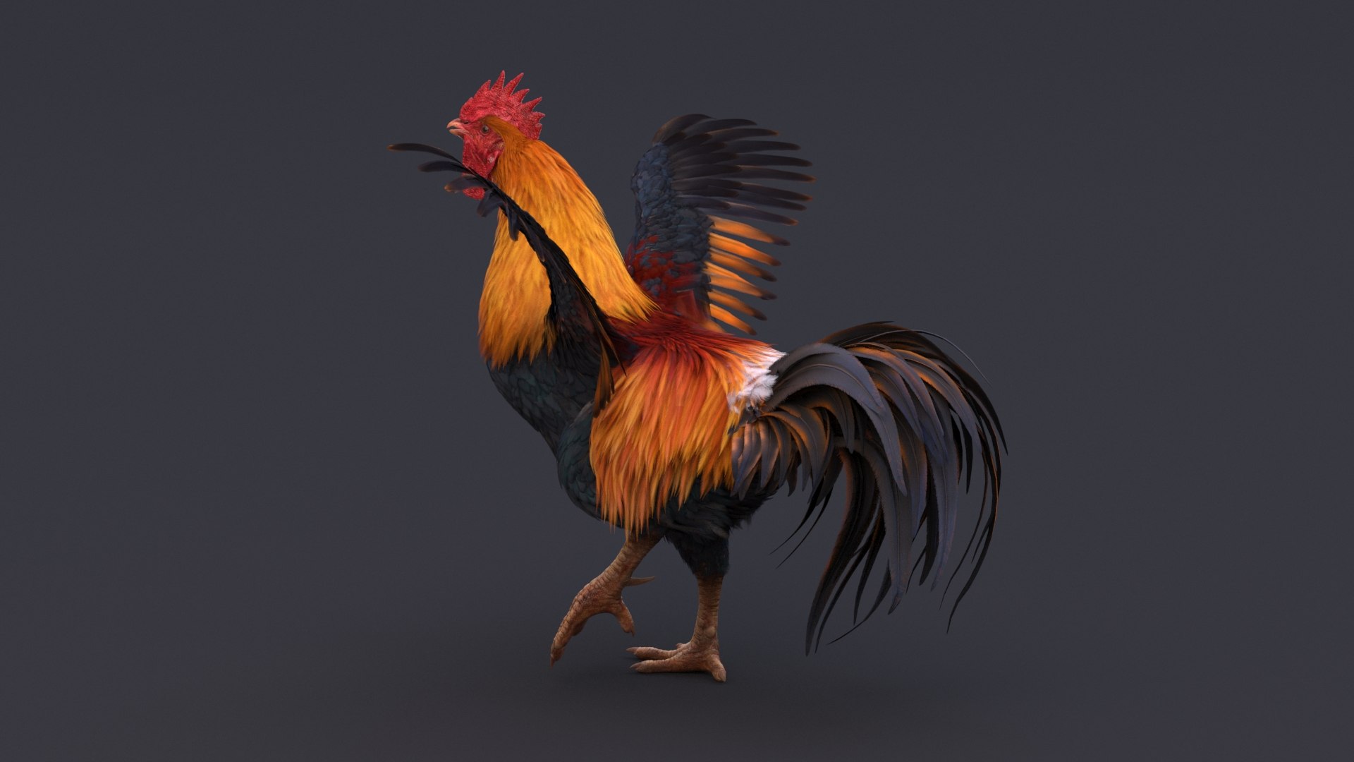 3D Rooster Animated - TurboSquid 1782857