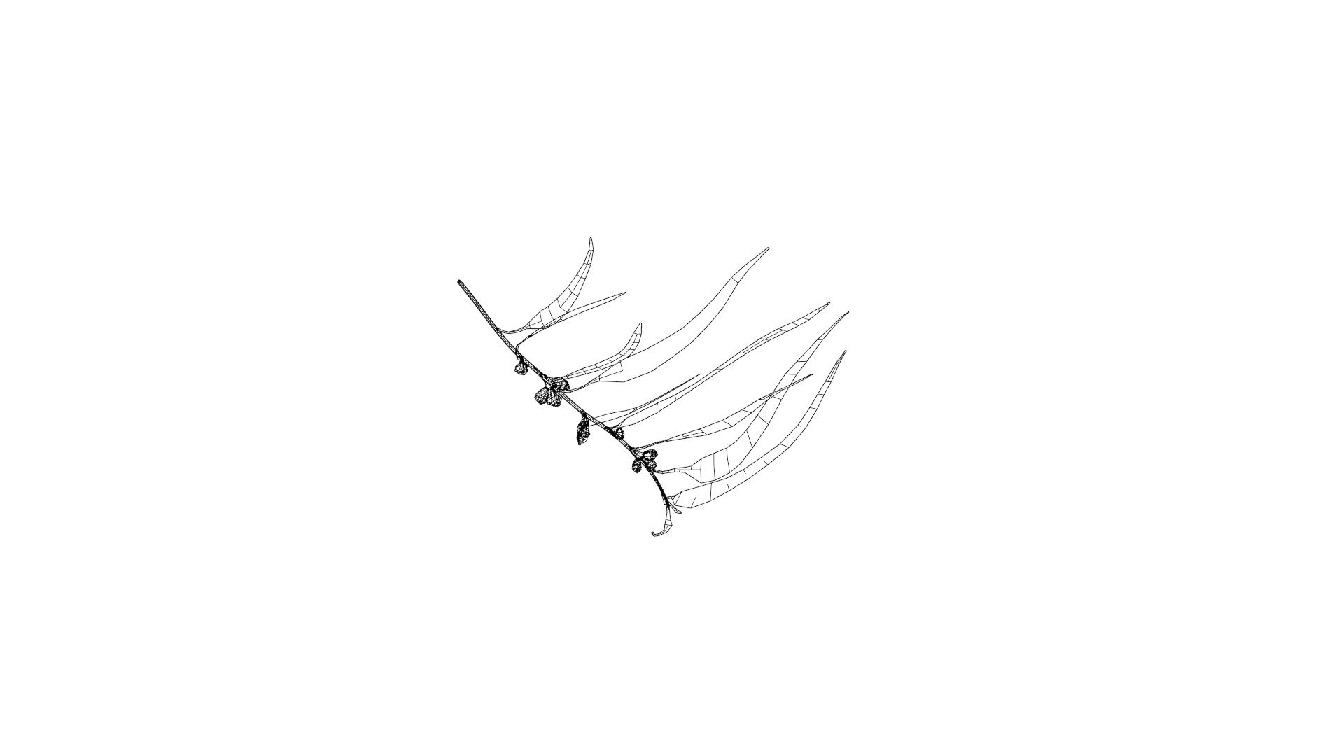 Blue Gum Single Twig Nature Elegance 3D model - TurboSquid 2132930