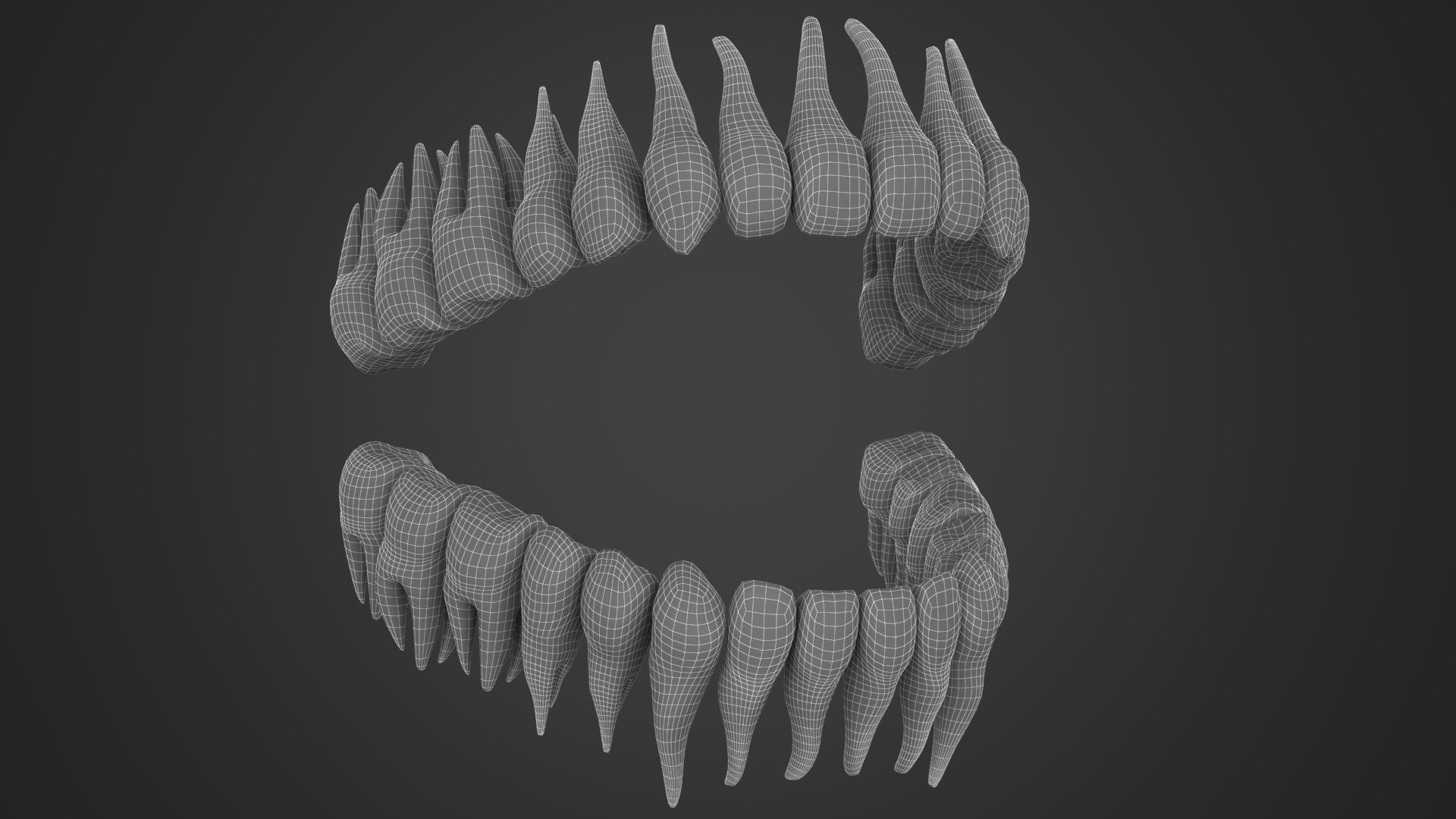 Human Teeth 3D Model - TurboSquid 1549135