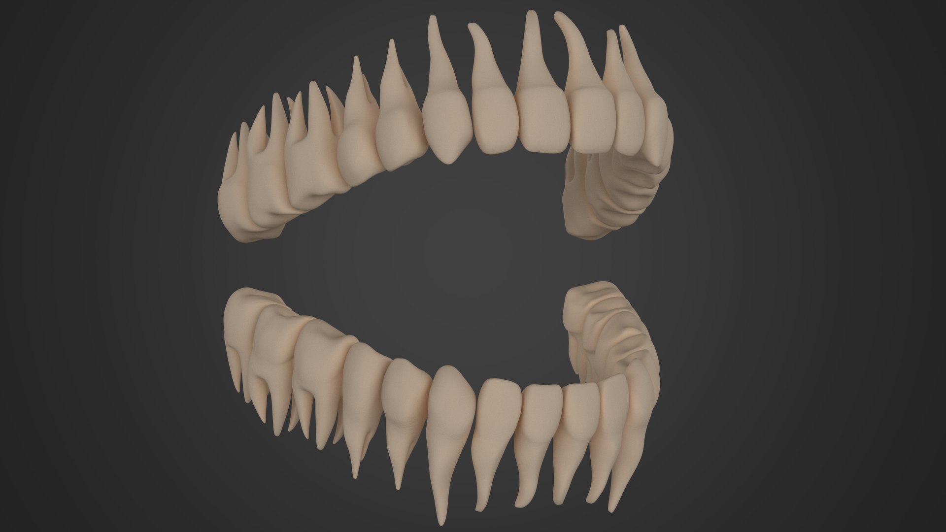 Human Teeth 3D Model - TurboSquid 1549135