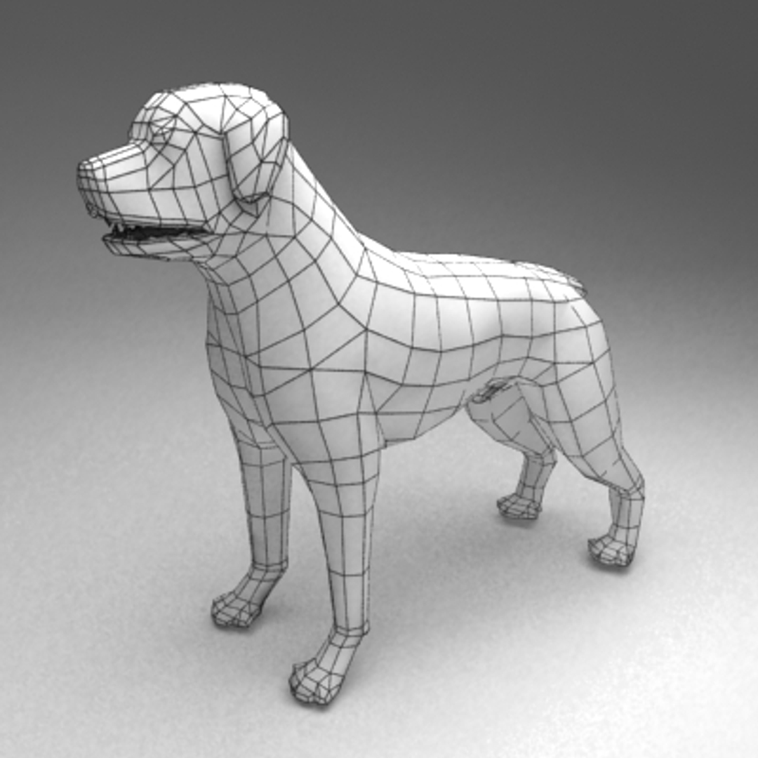 rigged rottweiler 3d model