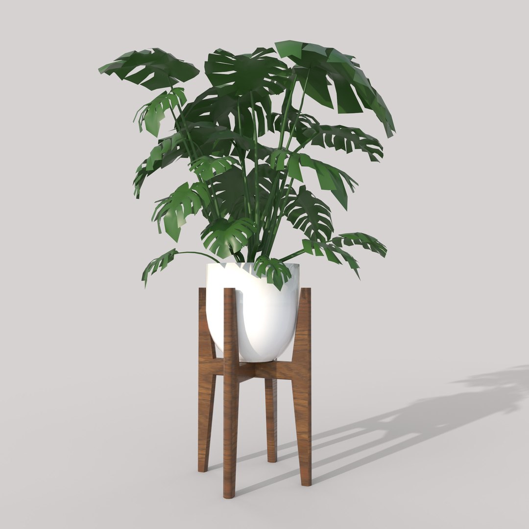 3D House Plant In Pot Model - TurboSquid 2252585