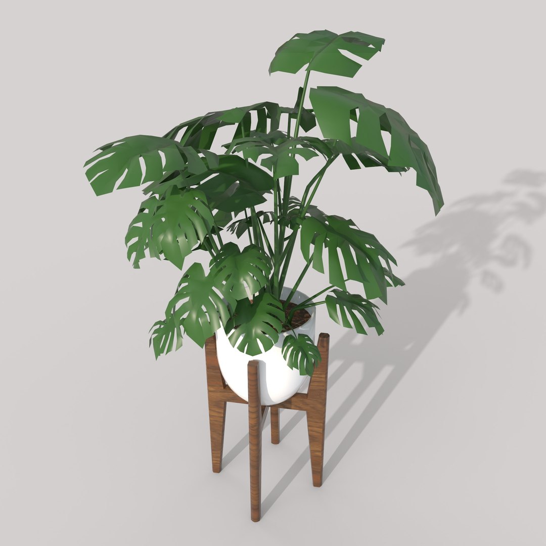 3D House Plant In Pot Model - TurboSquid 2252585