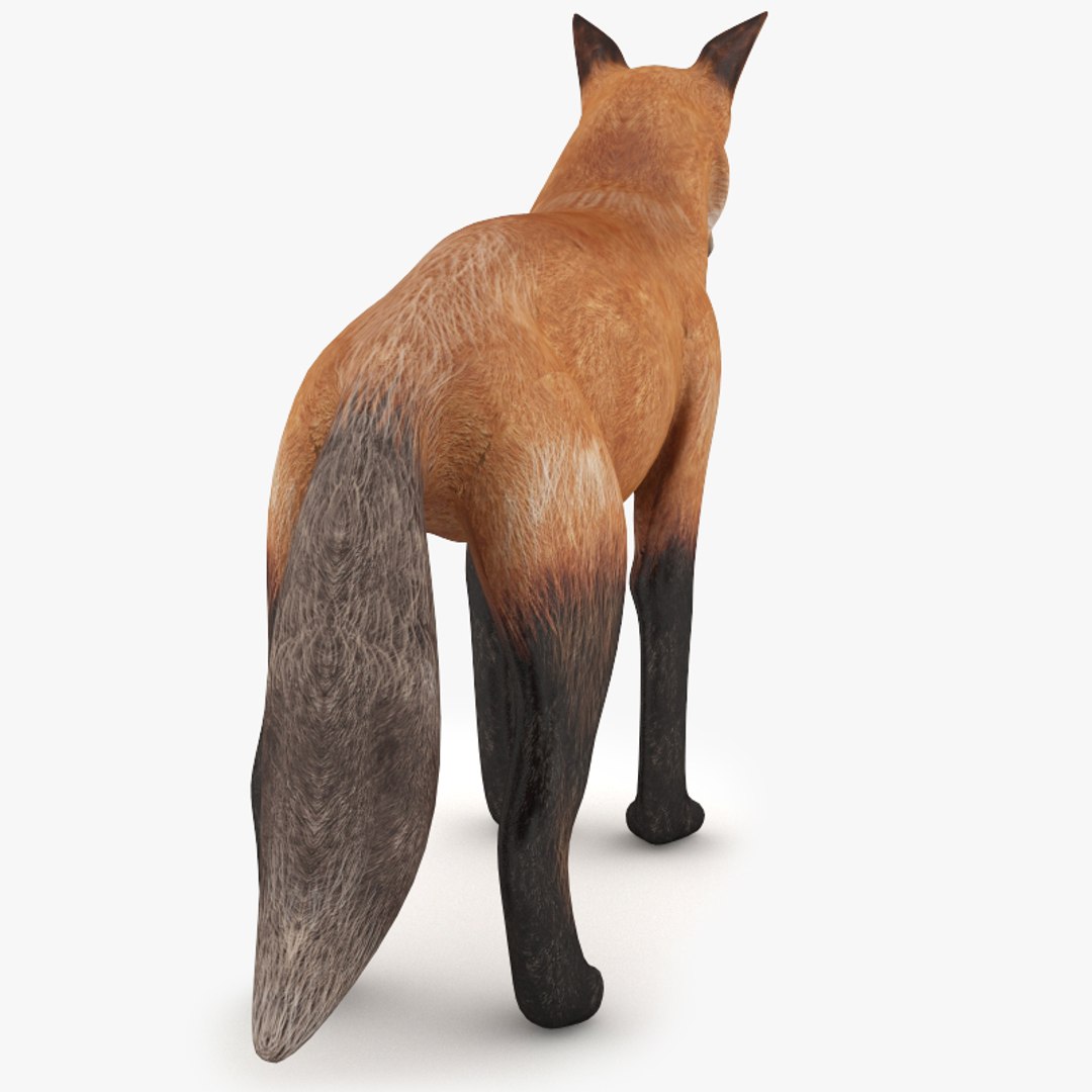 Fox Max