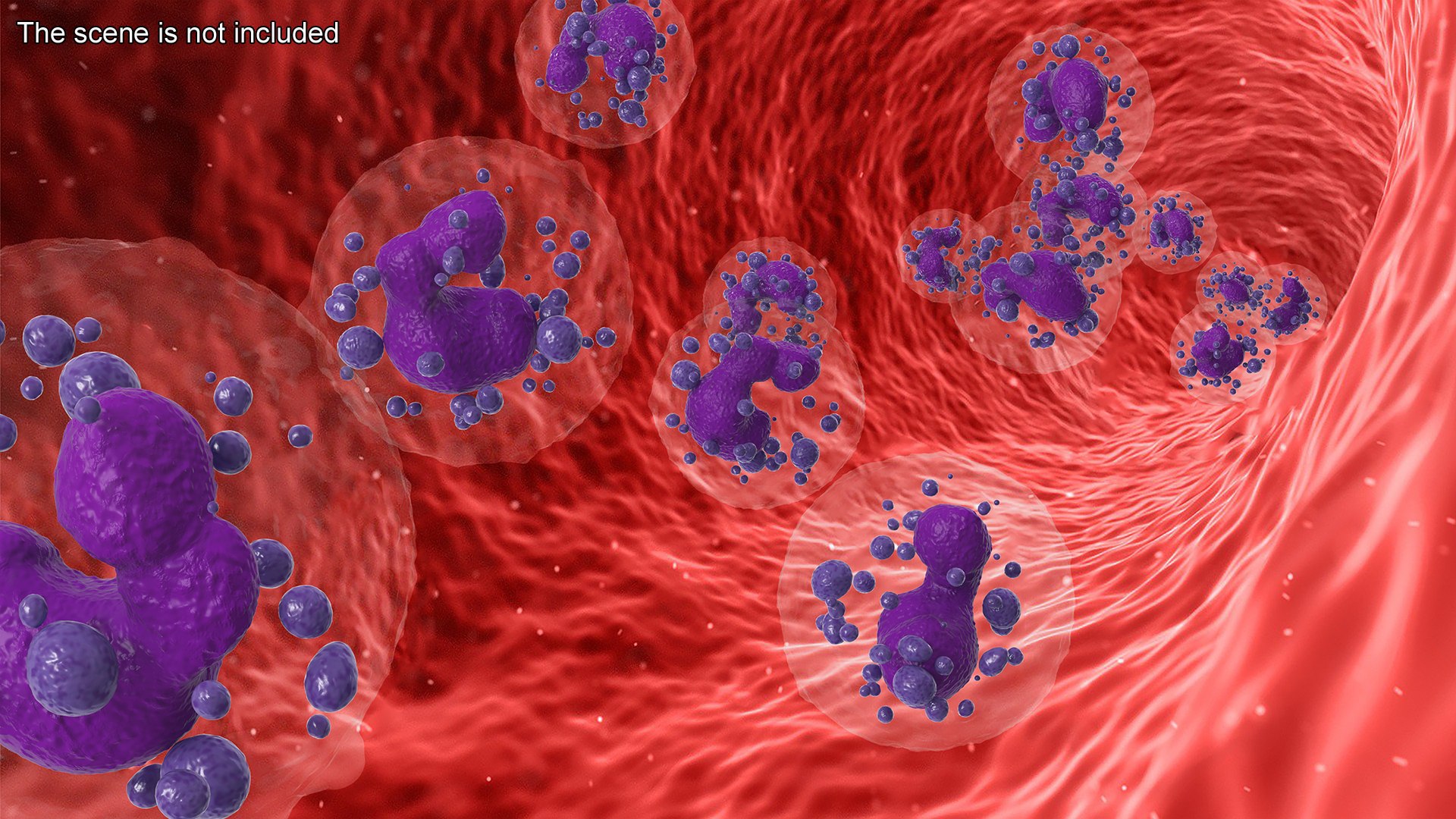 3D Basophil Blood Cell model - TurboSquid 2133330