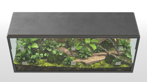 3D realistic terrarium - TurboSquid 1470995