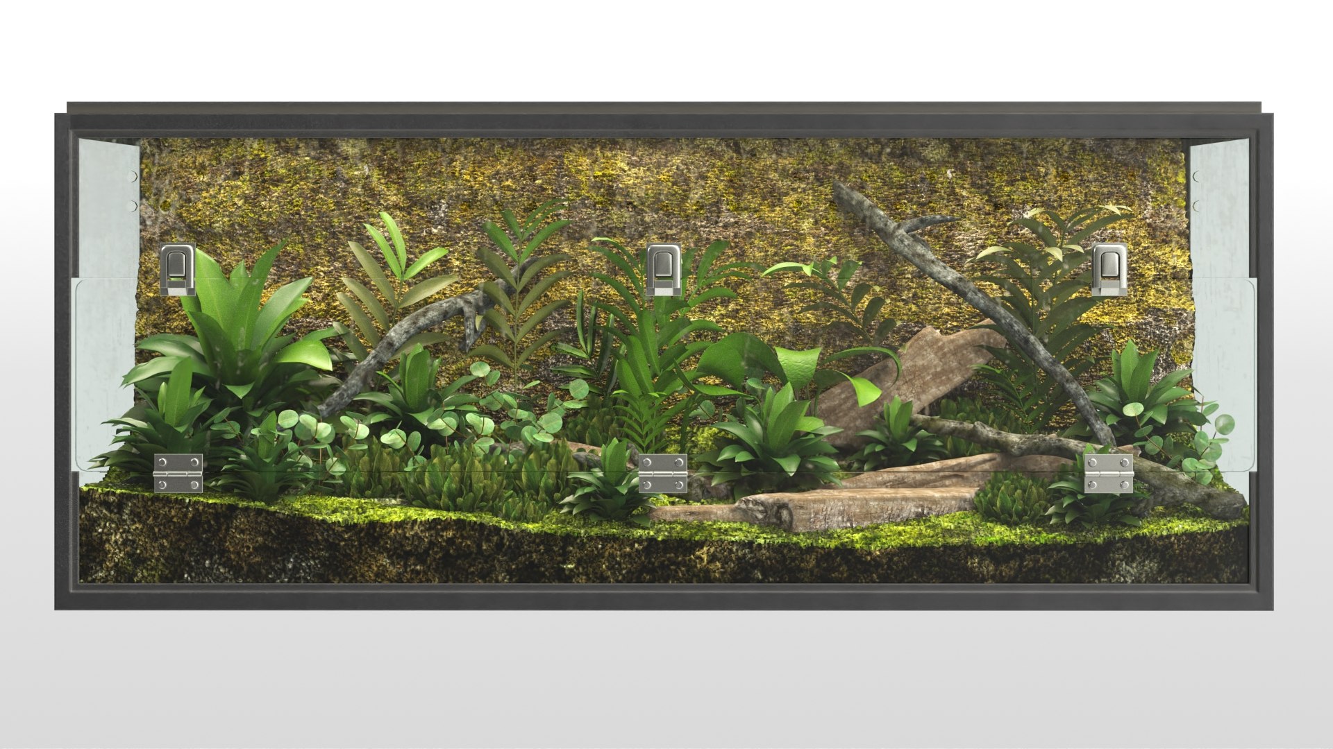 3D Realistic Terrarium - TurboSquid 1470995