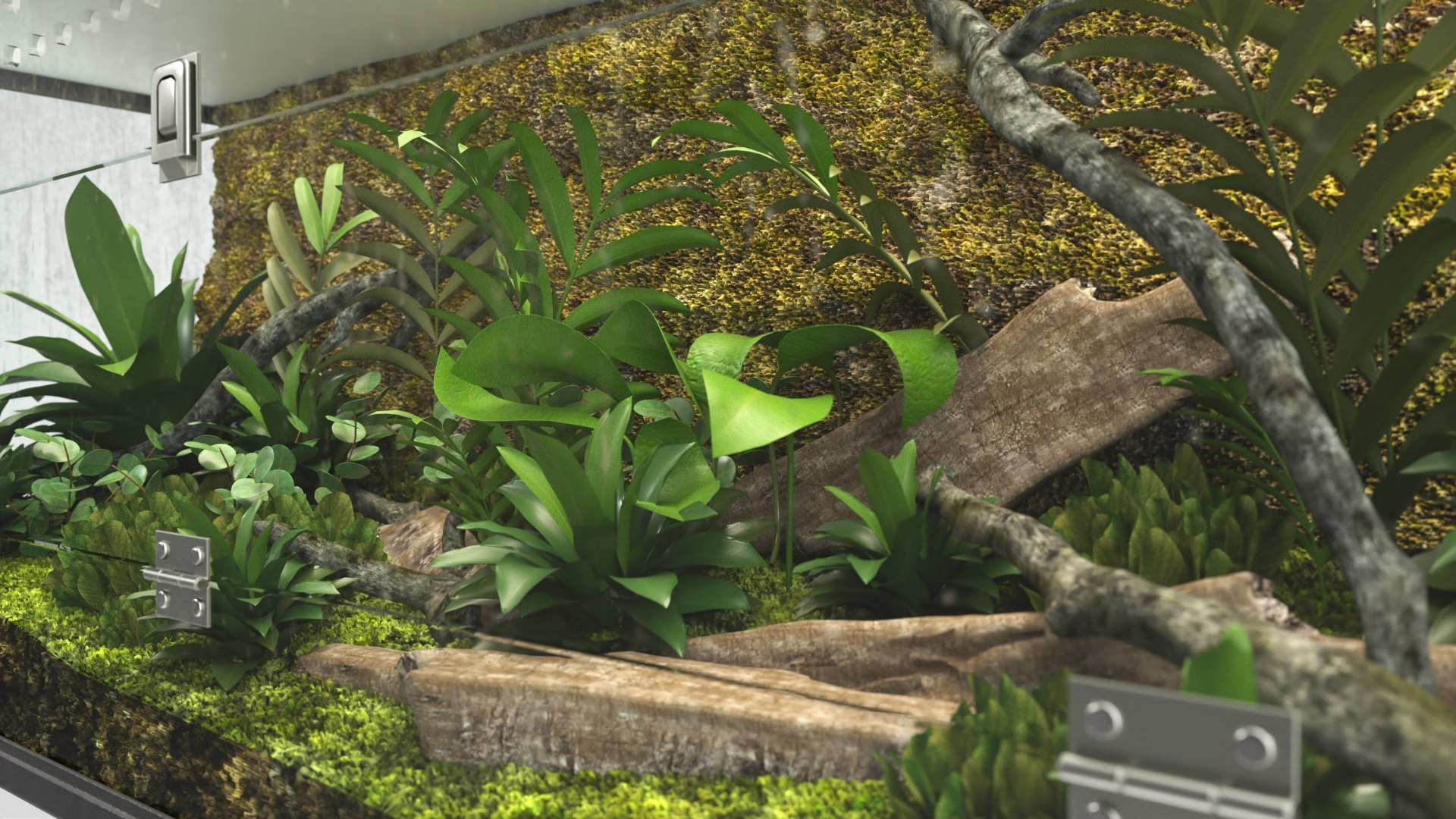 3D Realistic Terrarium - TurboSquid 1470995