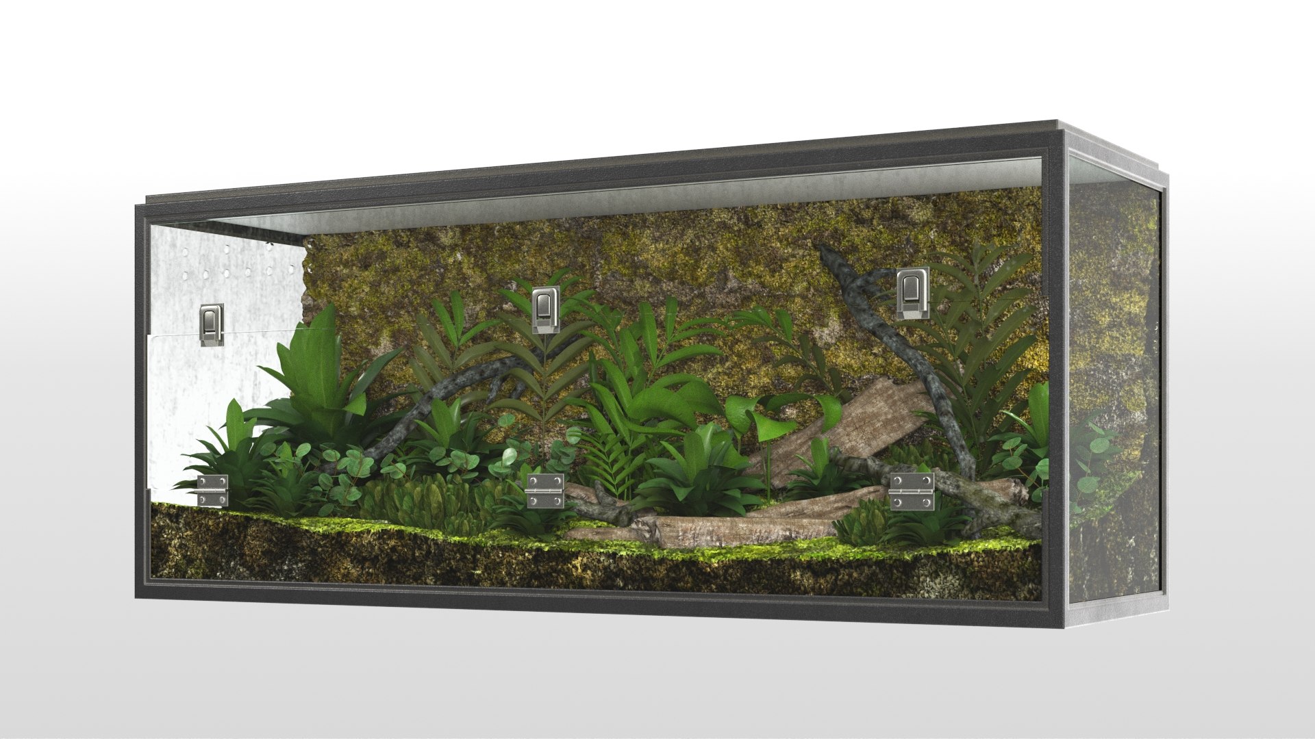 3D Realistic Terrarium - TurboSquid 1470995