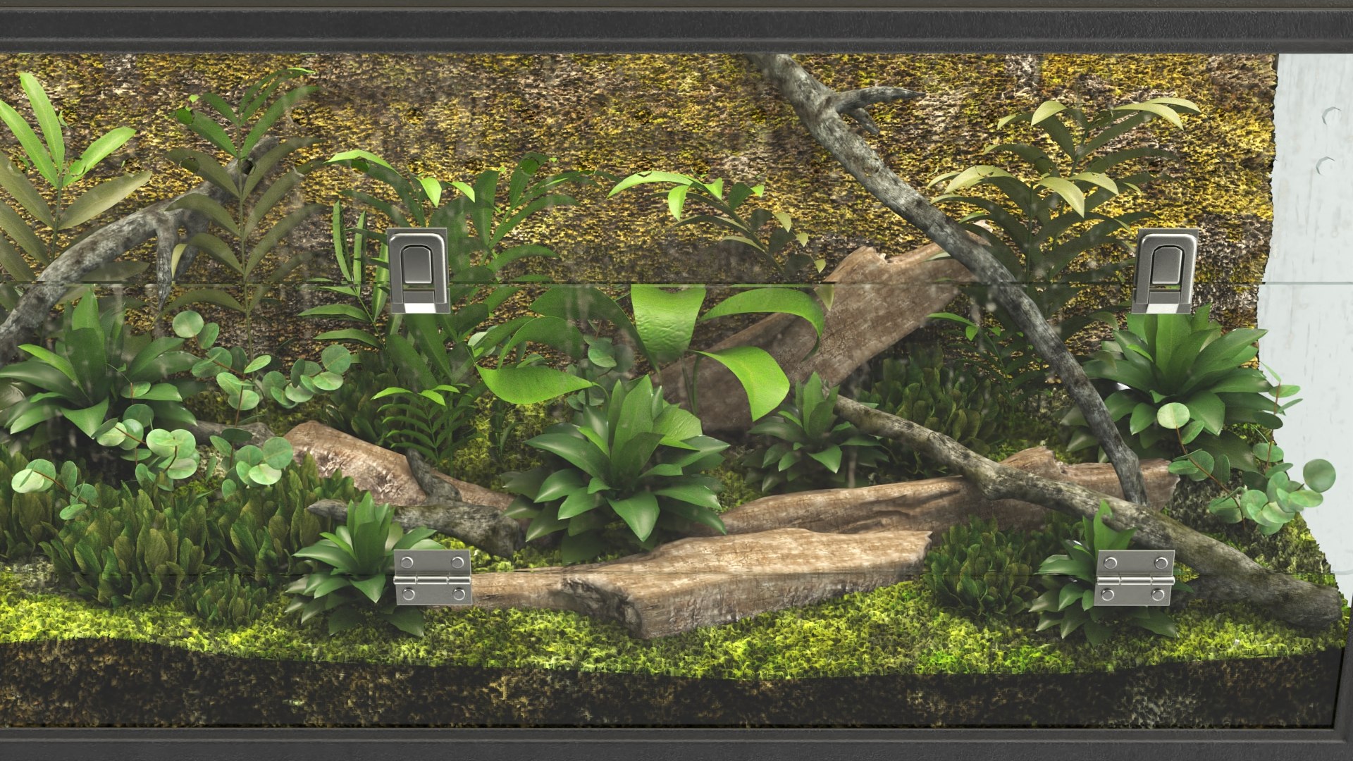 3D Realistic Terrarium - TurboSquid 1470995