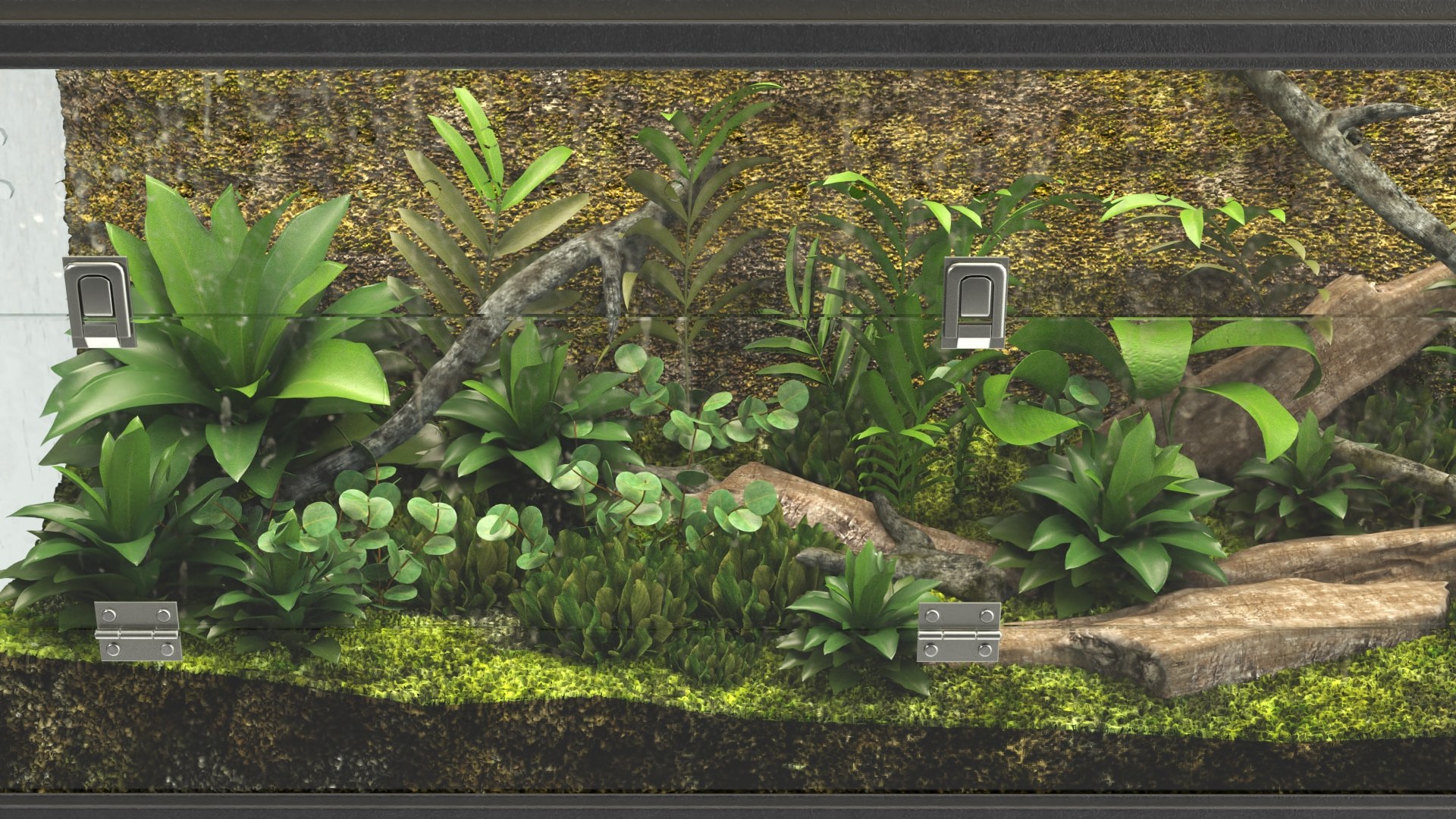 3D Realistic Terrarium - TurboSquid 1470995