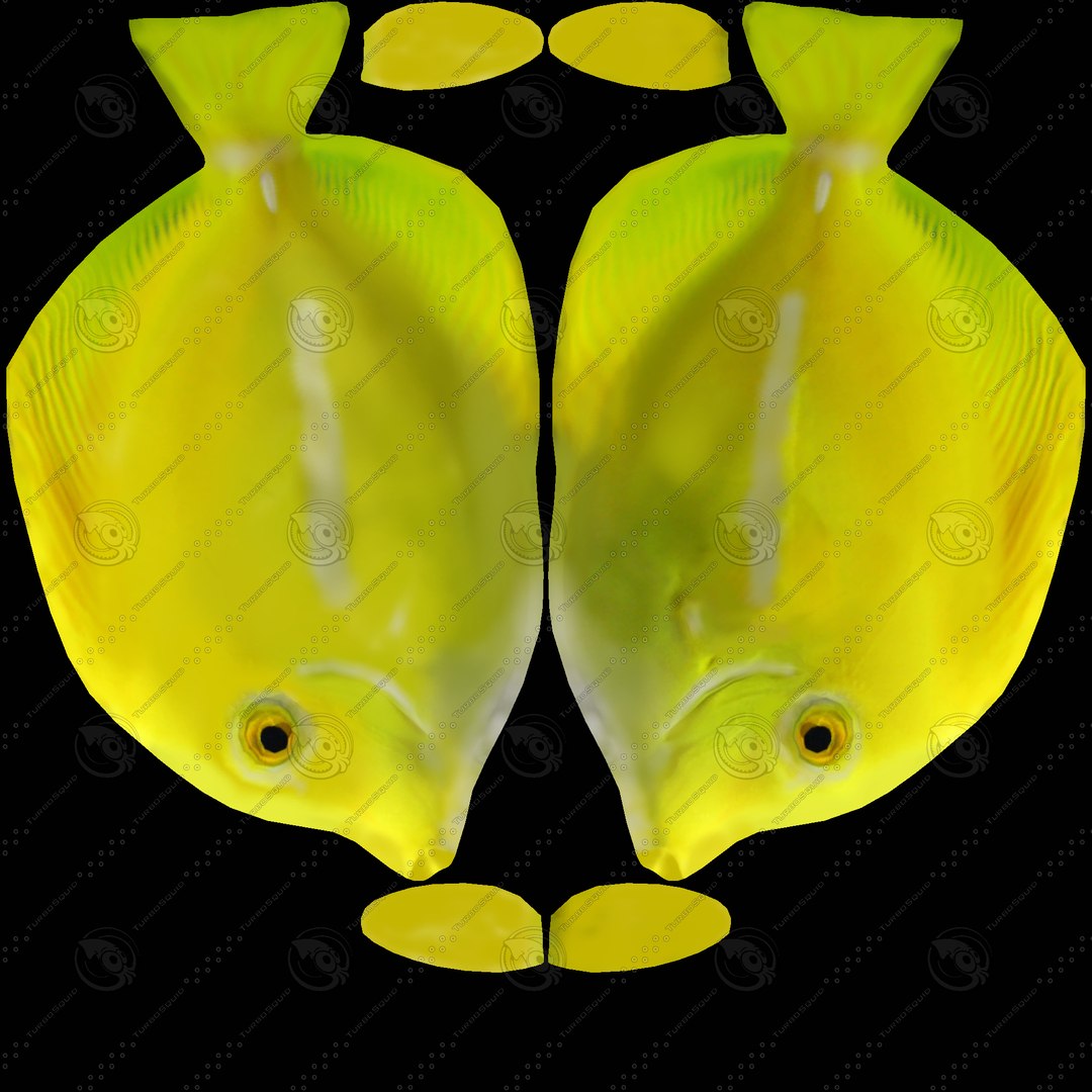 Yellow Tang Fish Obj