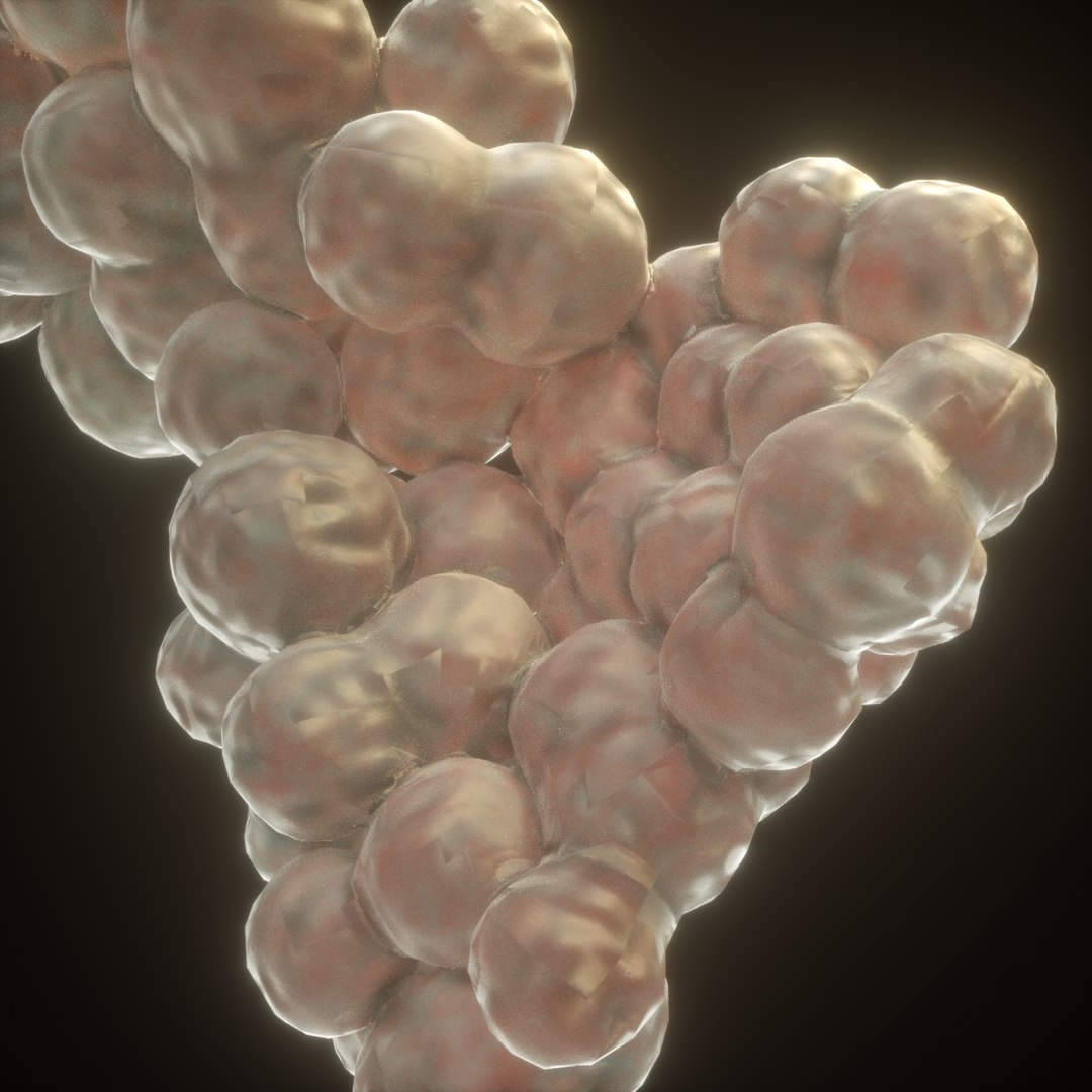 Bacteria Germ 3D Model - TurboSquid 1389562