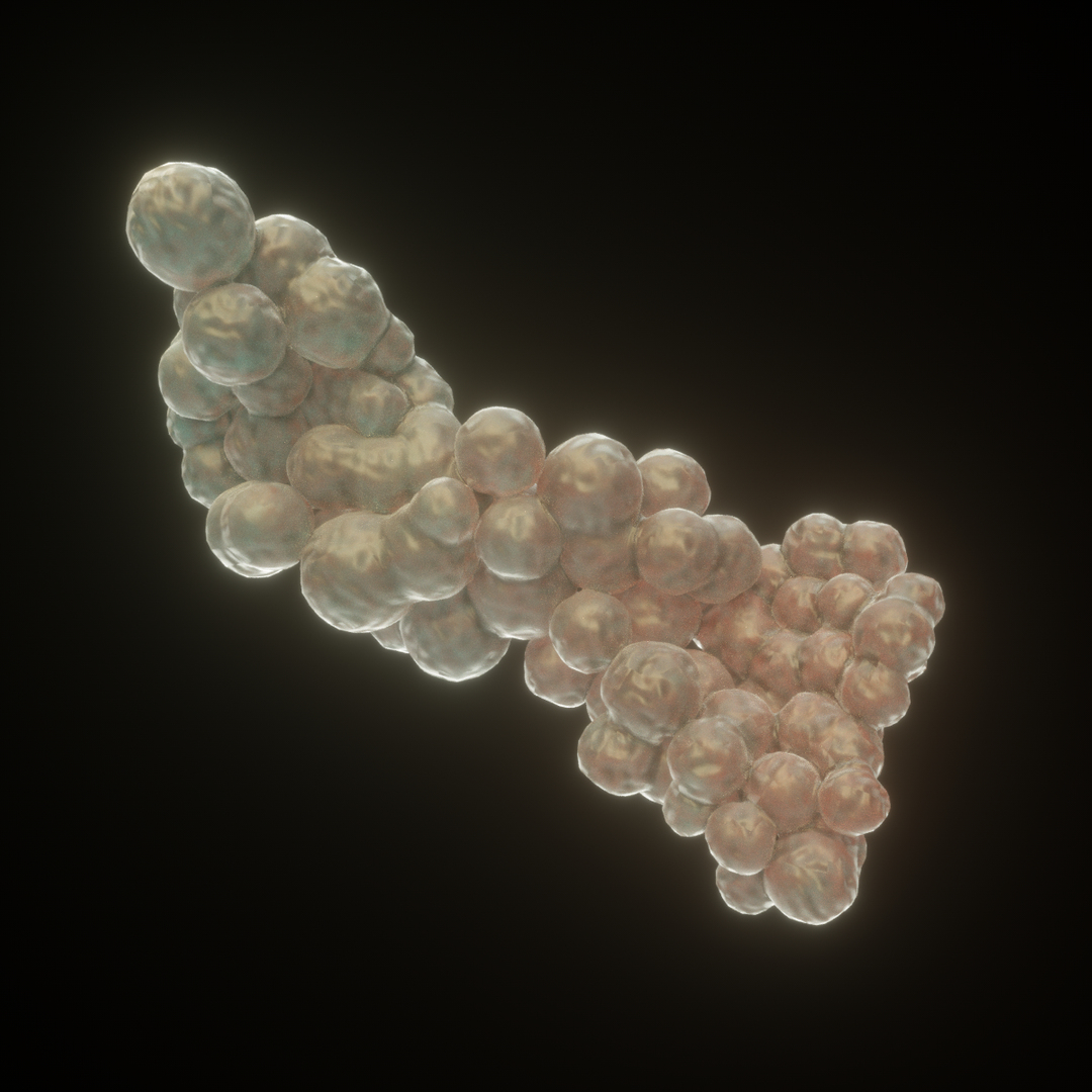 Bacteria Germ 3D Model - TurboSquid 1389562
