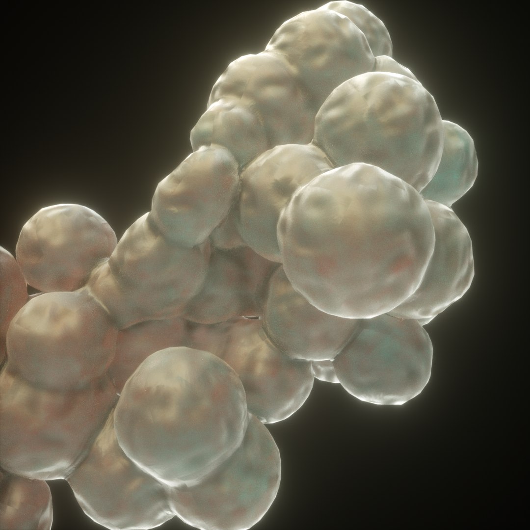 Bacteria Germ 3D Model - TurboSquid 1389562